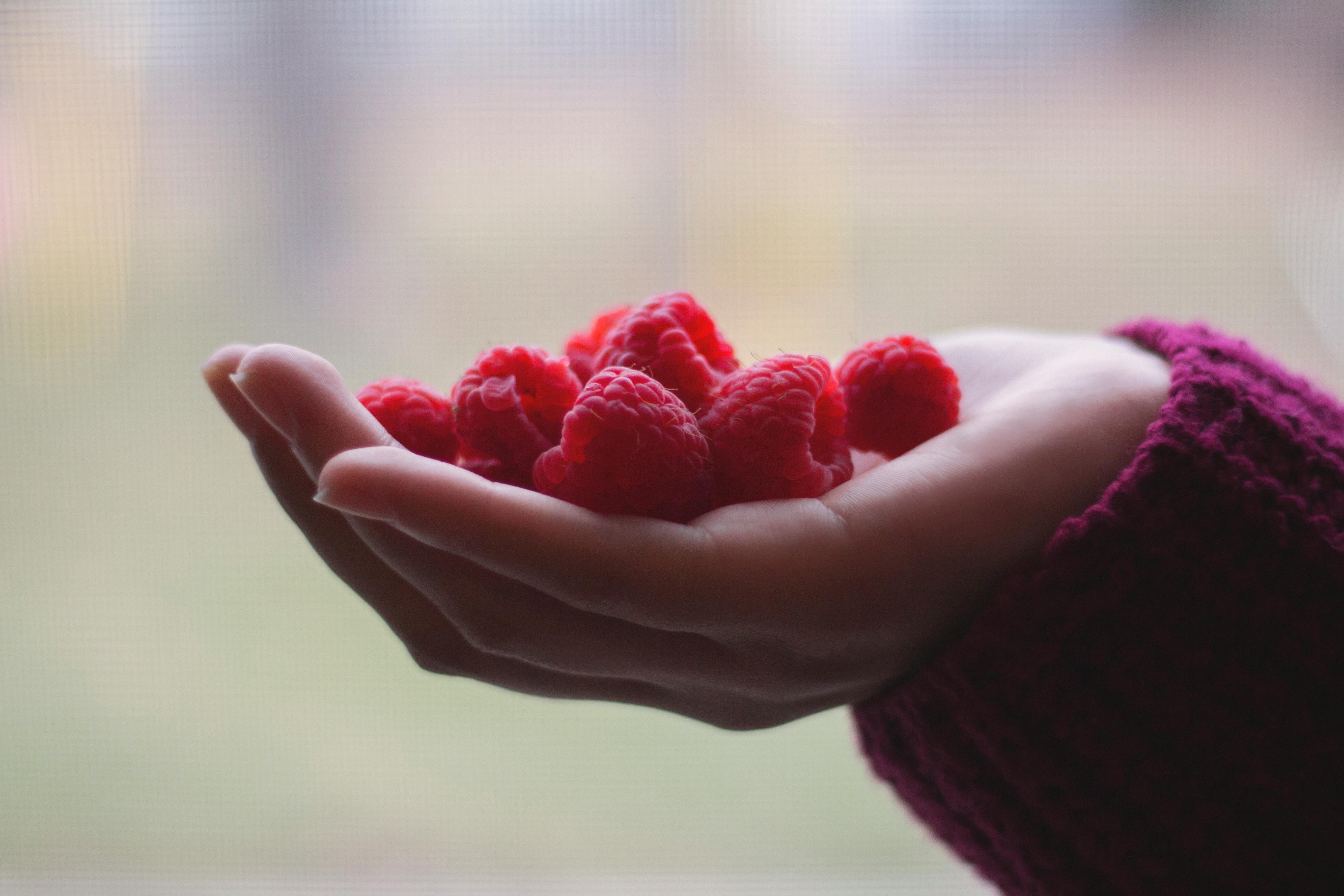 Person Holding Bunch of Raspberries · Free Stock Photo