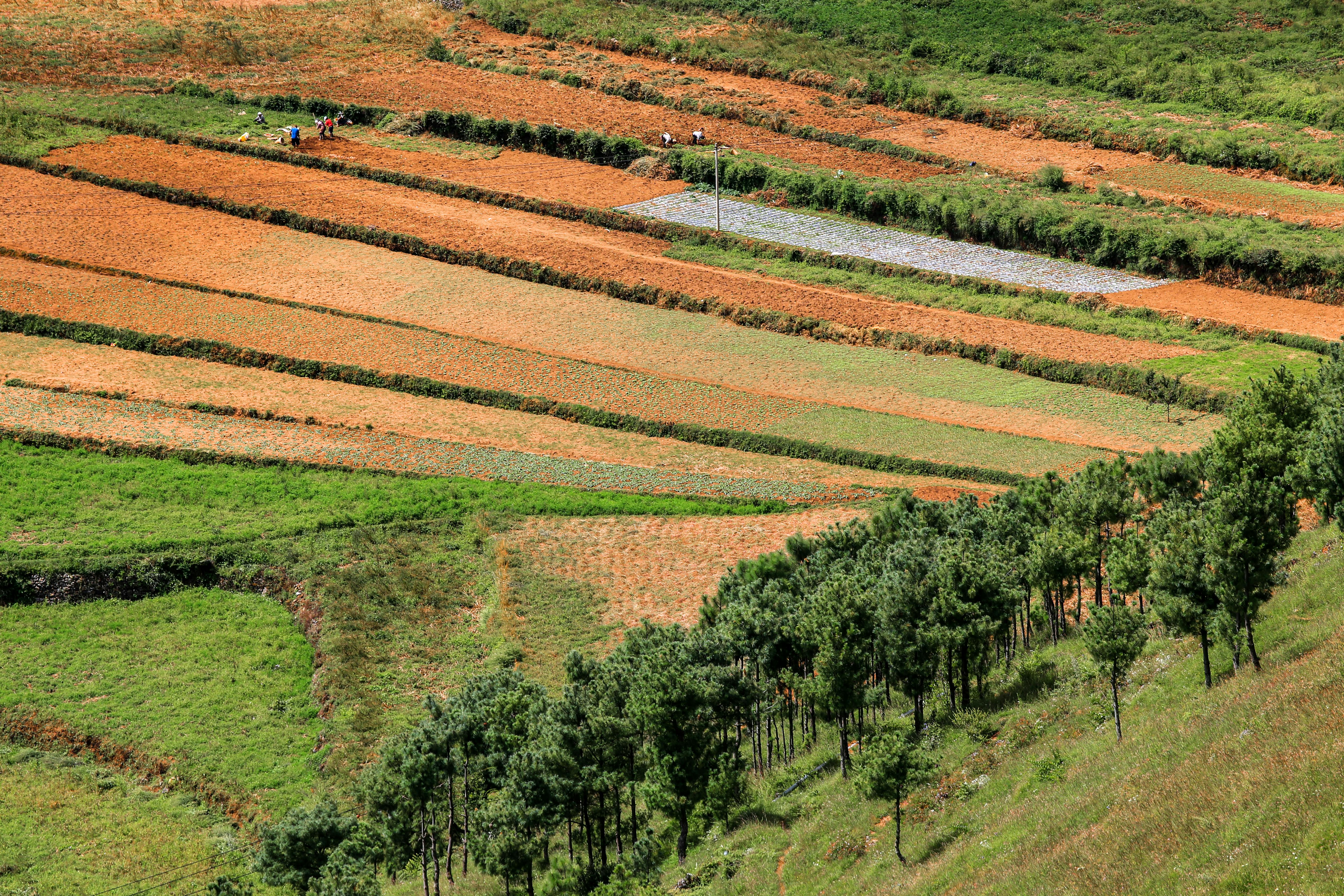 Aerial View Of Land And Positioning Point Area Photos, Download The ...