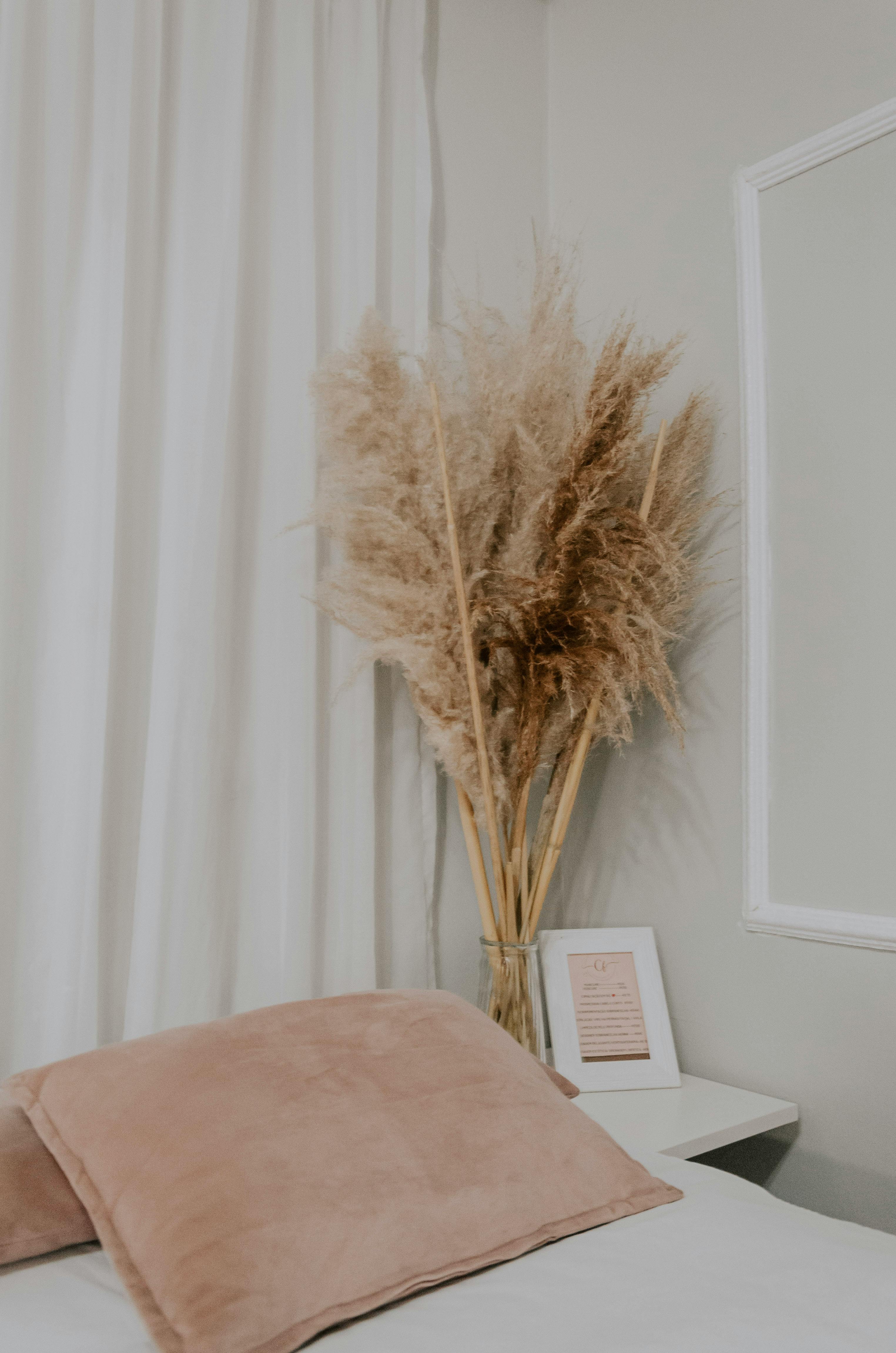 Plant Far Photos, Download The BEST Free Plant Far Stock Photos & HD Images