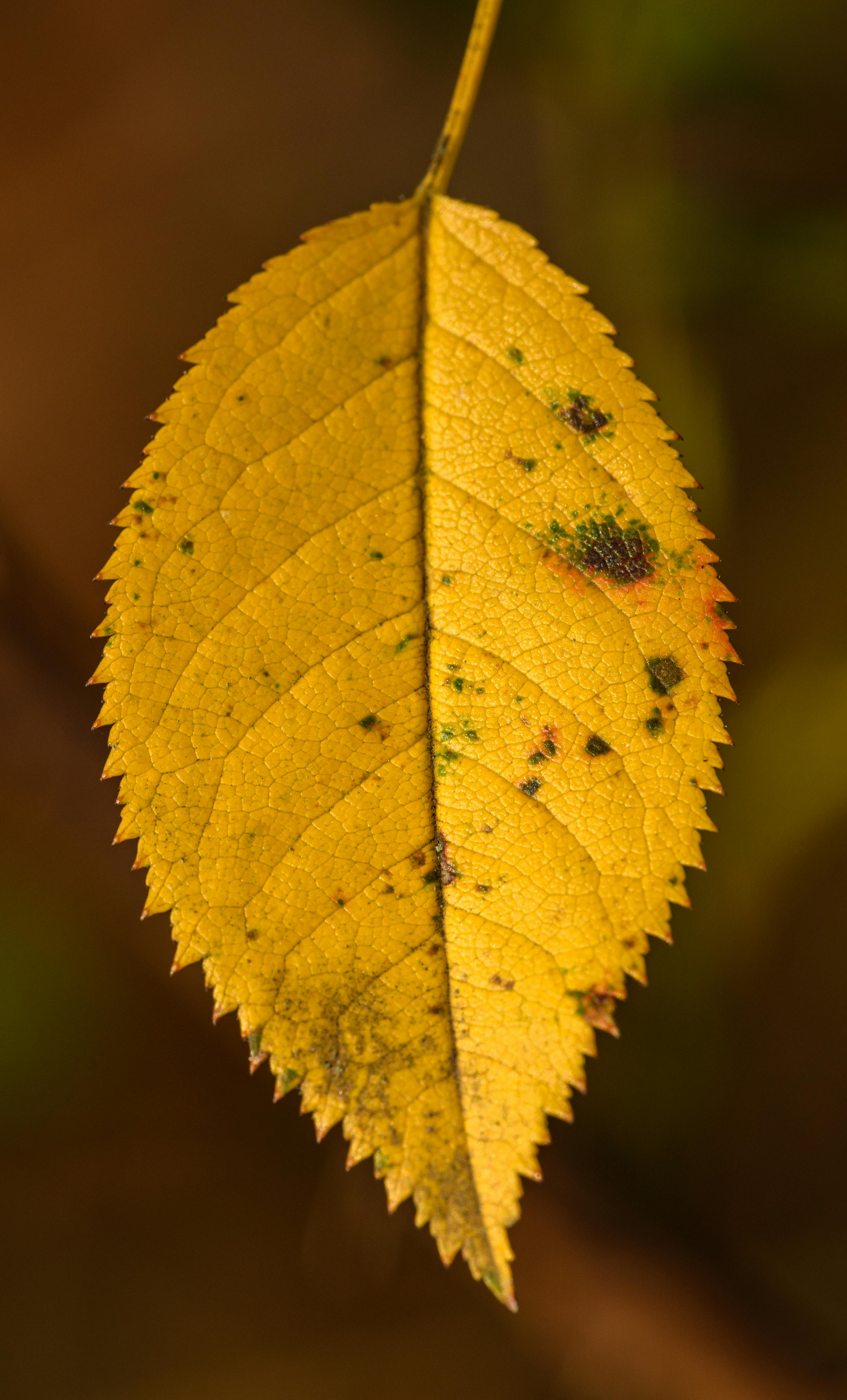 Managing Change Photos, Download The BEST Free Managing Change Stock ...