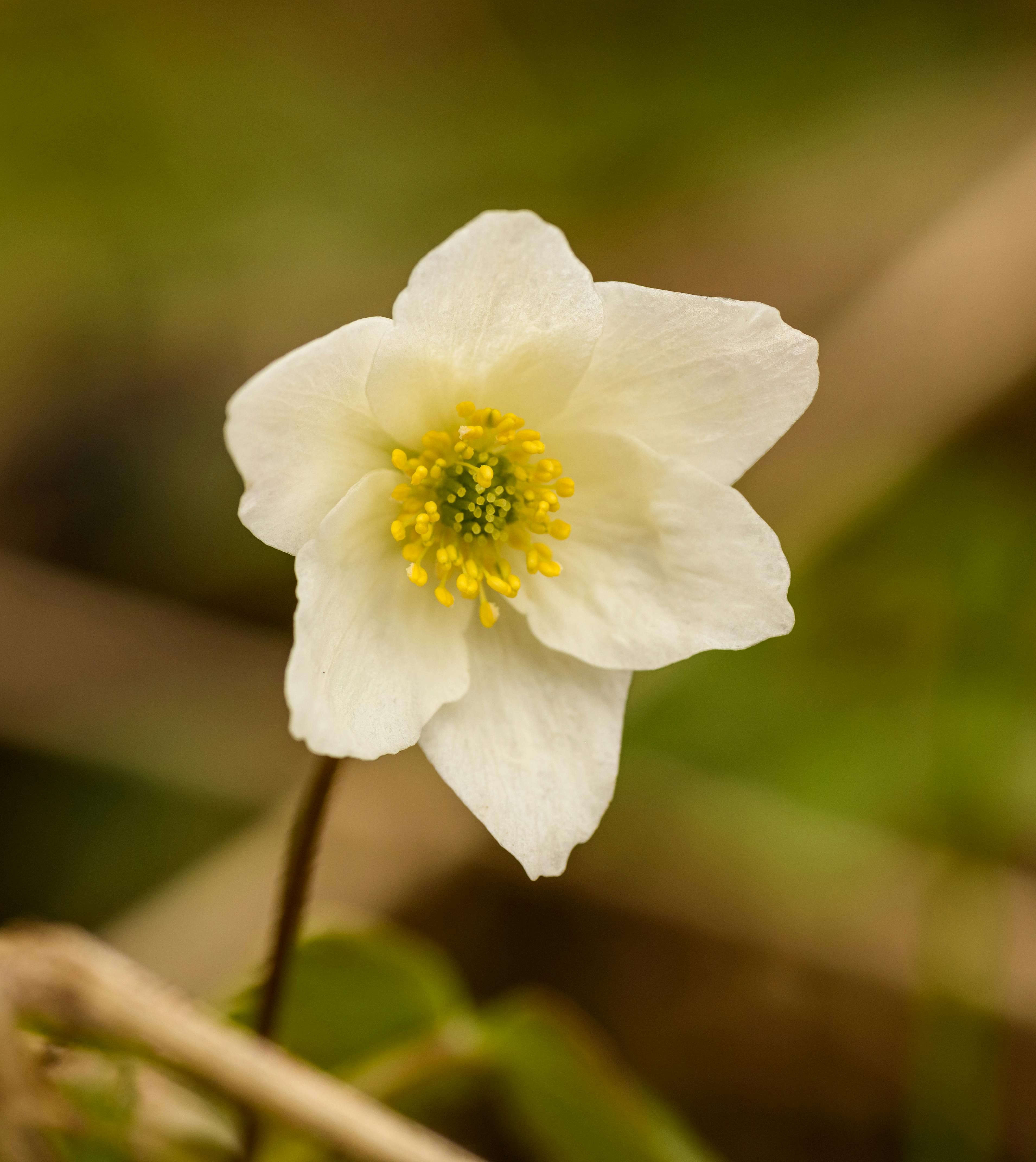 Single Emotions Photos, Download The BEST Free Single Emotions Stock ...