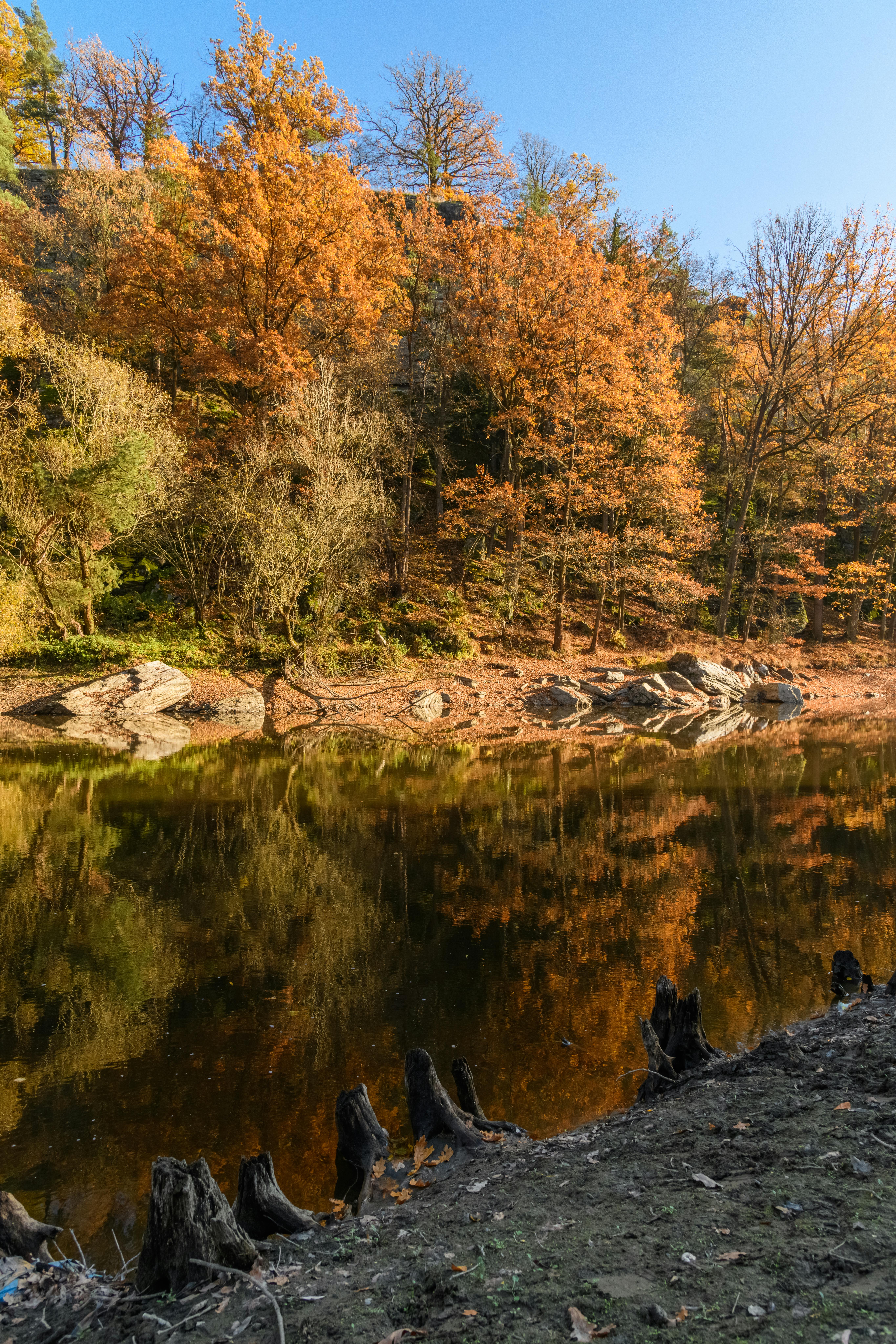 Autumn Riverside Scenery · Free Stock Photo