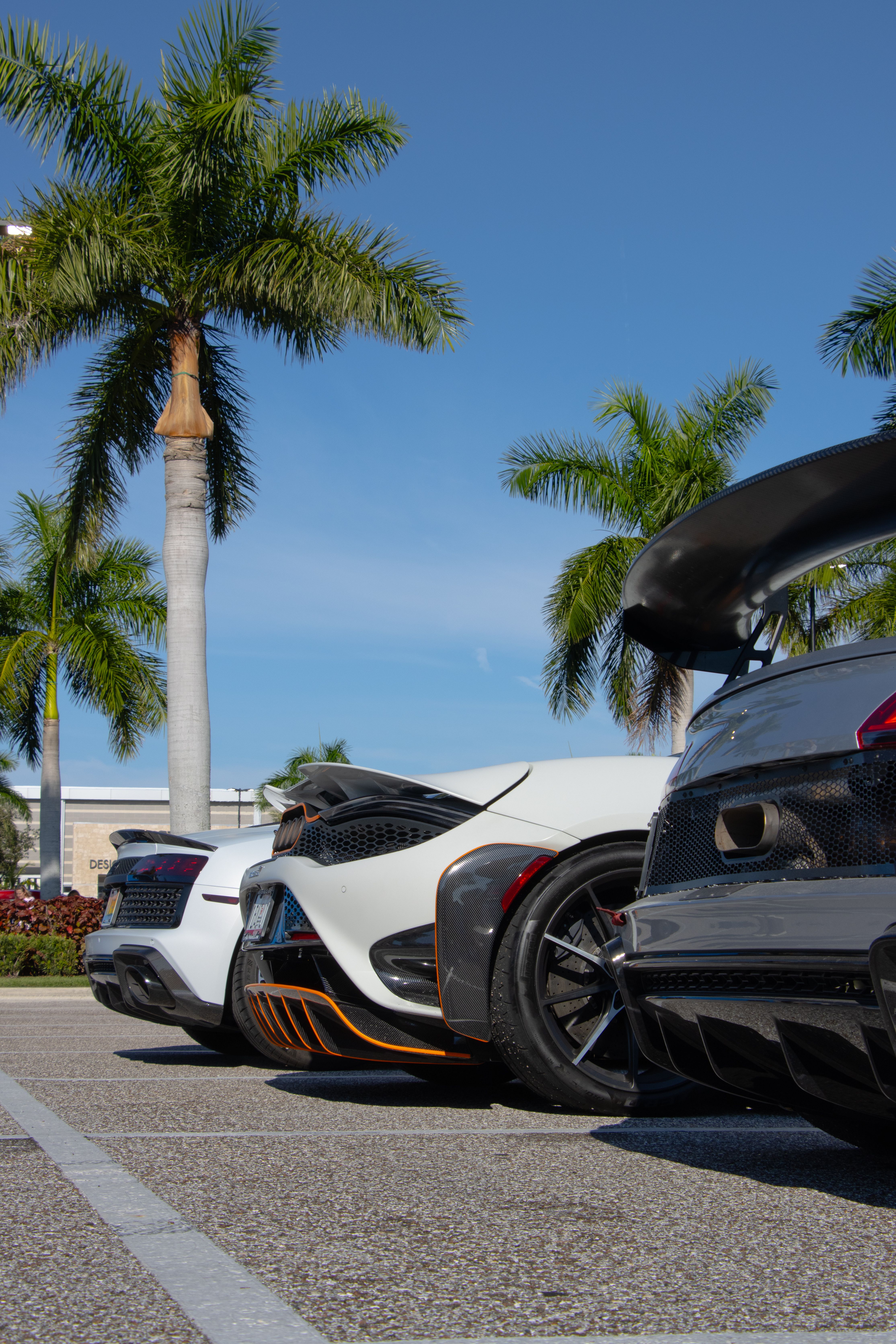 Cars Displayed on Parking Lot among Palm Trees · Free Stock Photo