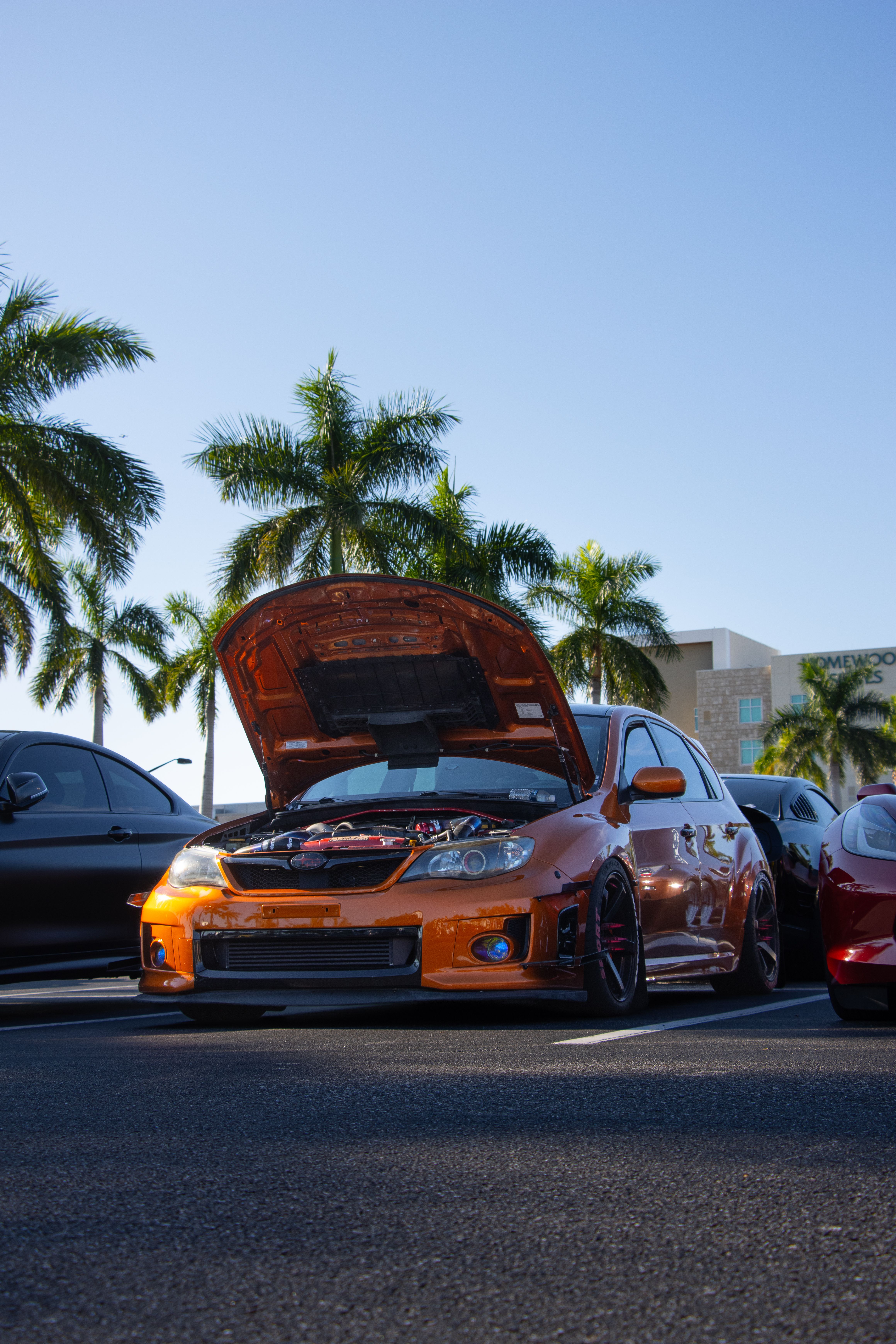 Expensive Car with open Hood · Free Stock Photo