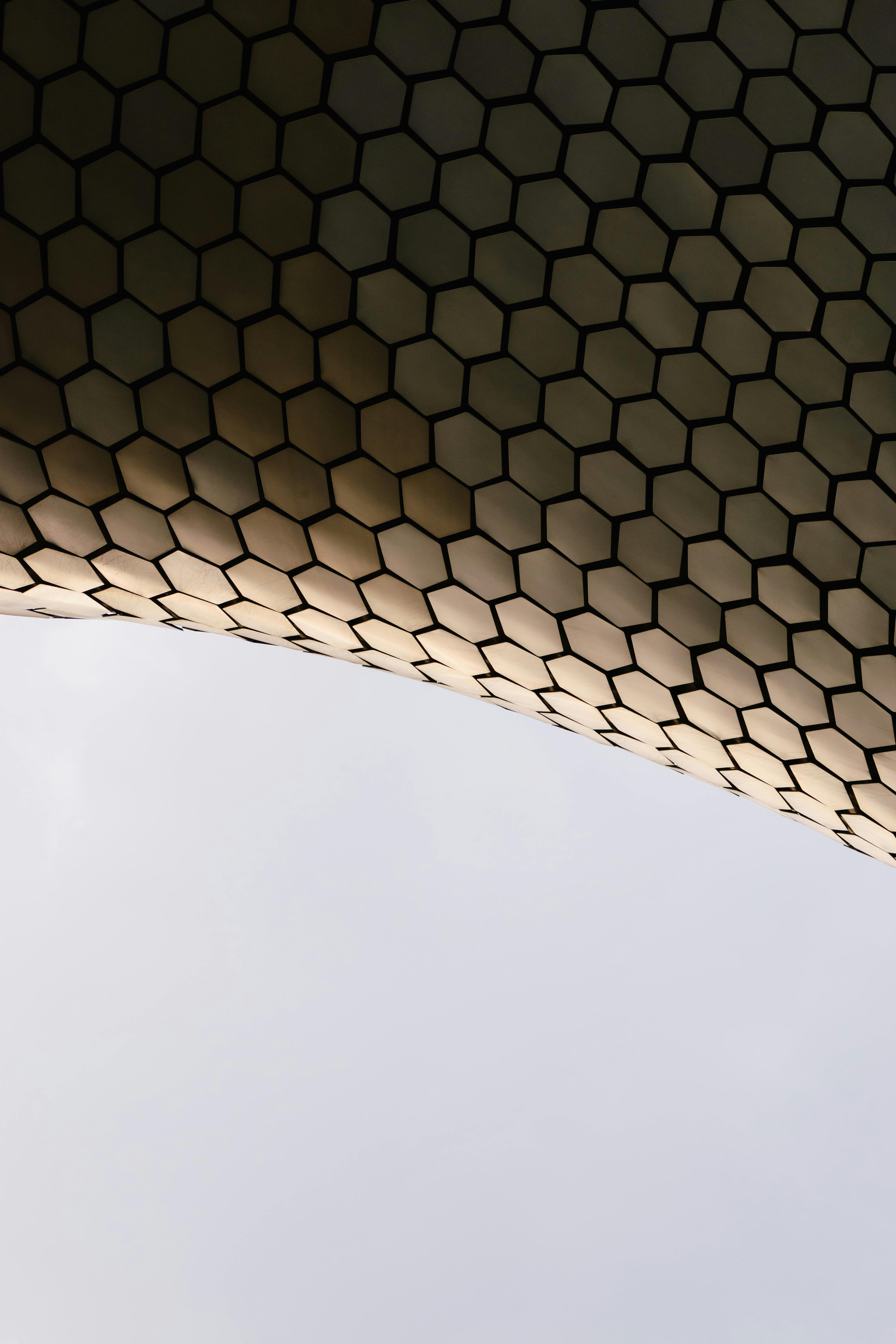 Pentagonal Photos, Download The BEST Free Pentagonal Stock Photos & HD ...