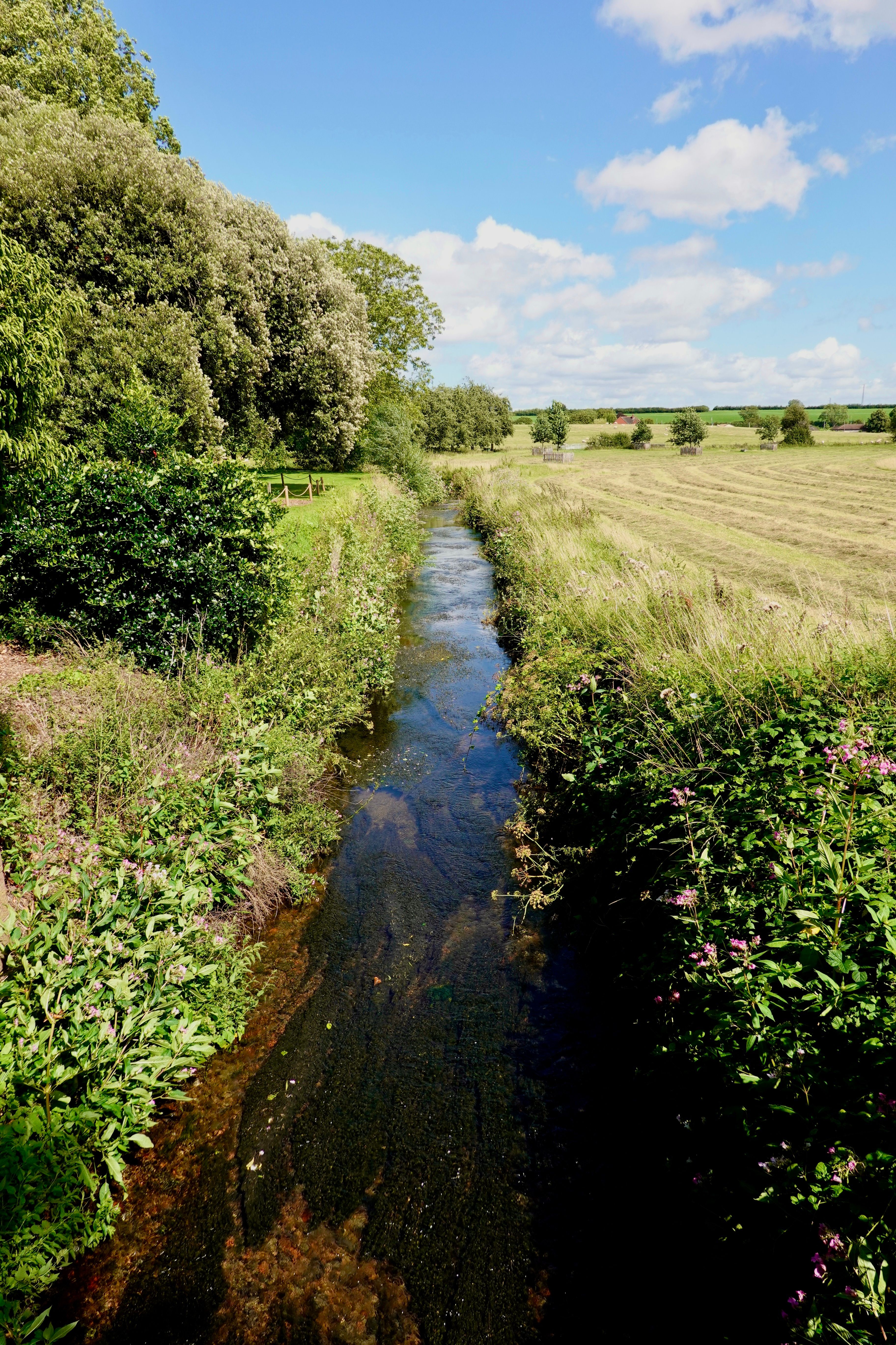 View of a Rural Stream in Summer · Free Stock Photo