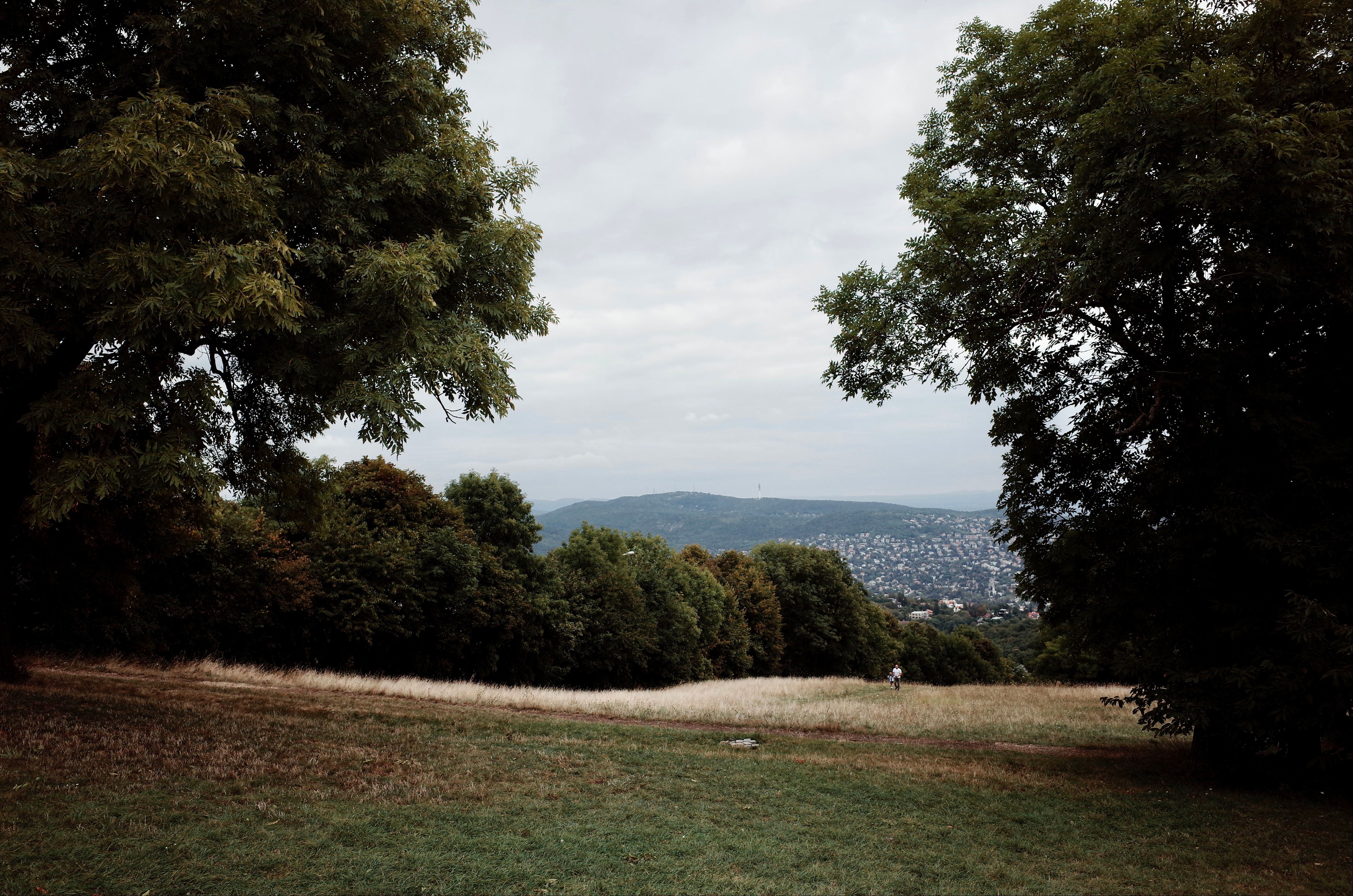 Hilltop Trees with a Town in the Background · Free Stock Photo