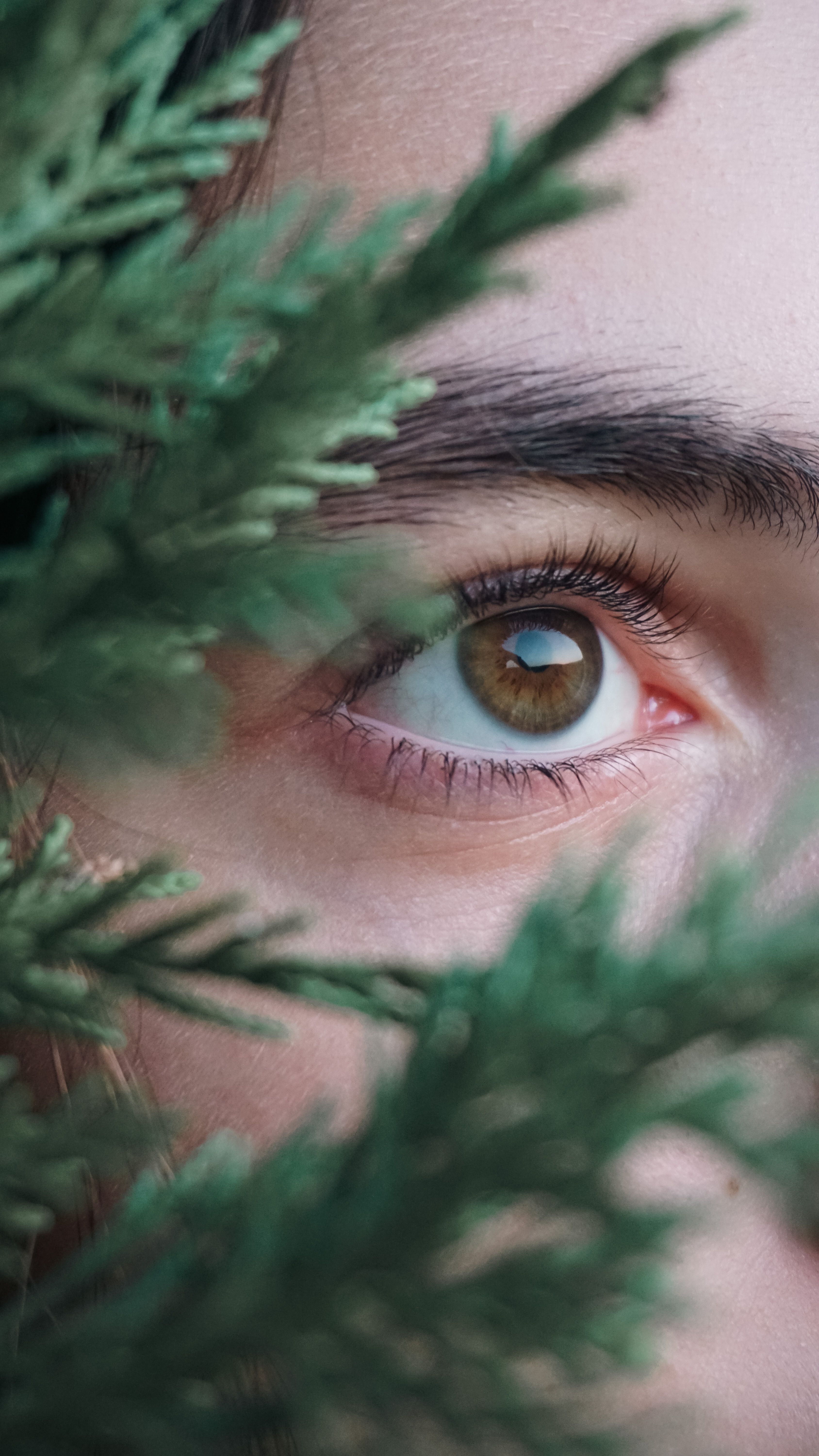 Waving Eyebrow Photos, Download The BEST Free Waving Eyebrow Stock ...