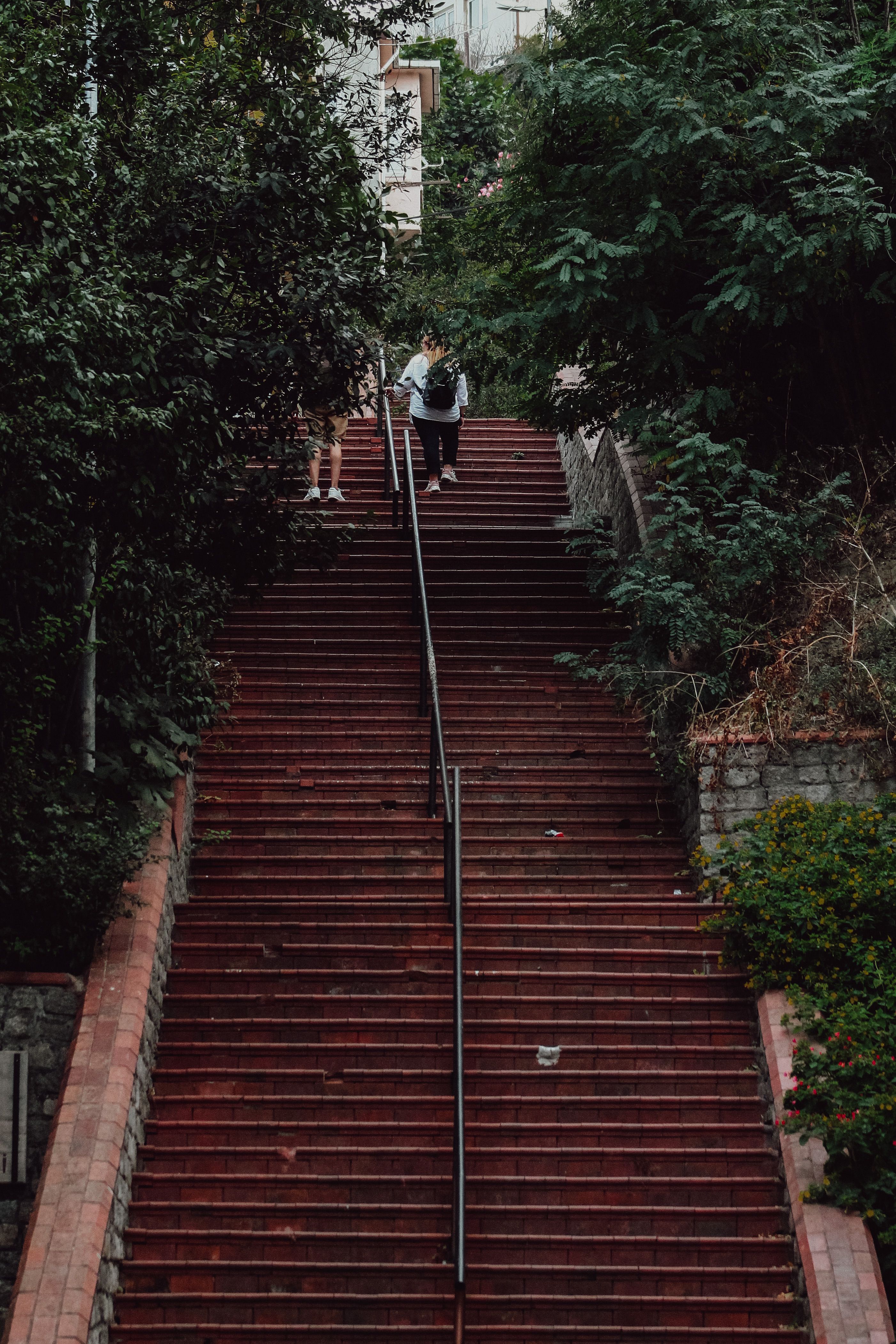 Escaleras En El Parque · Foto de stock gratuita