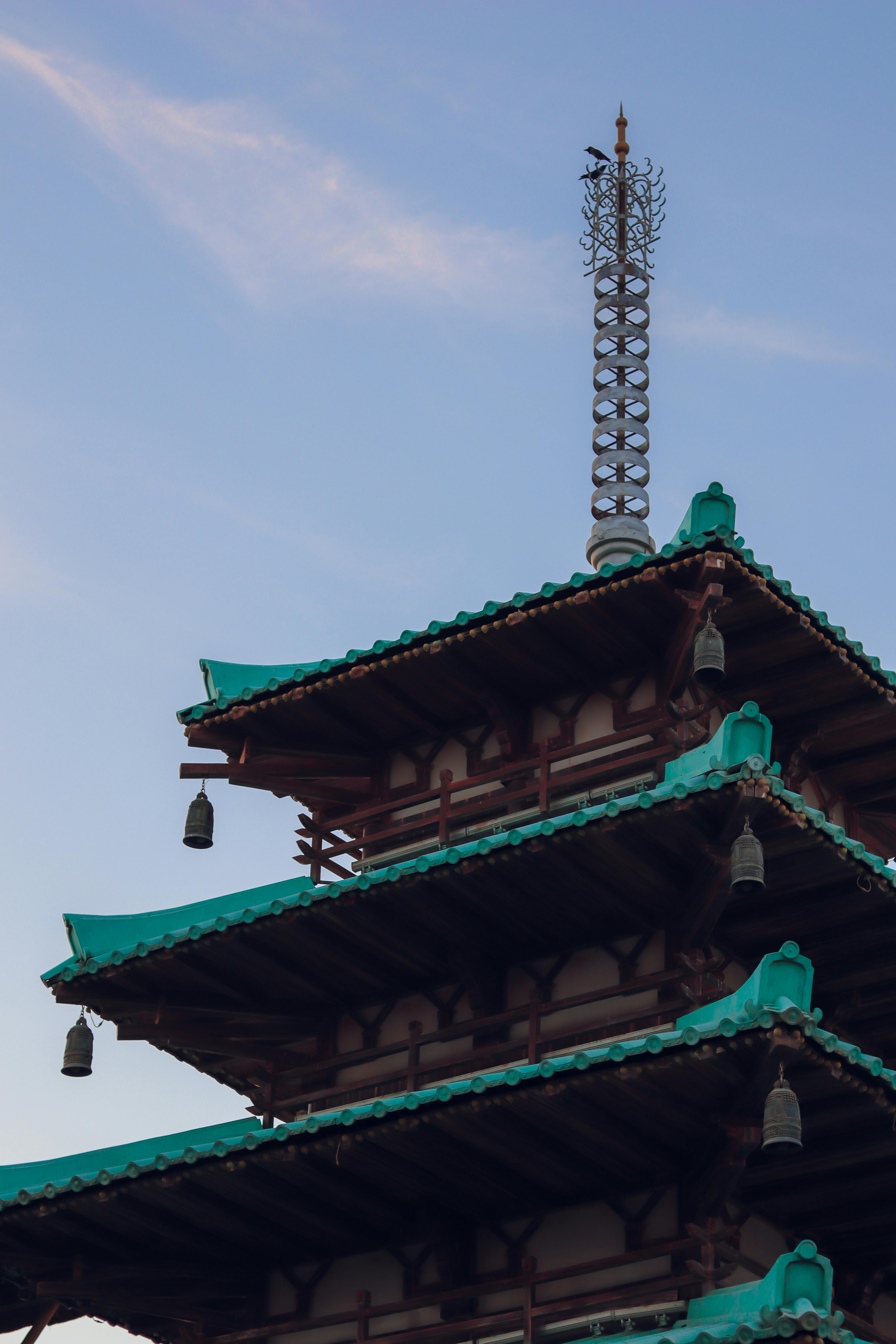 High Vhs Photos, Download The BEST Free High Vhs Stock Photos & HD Images