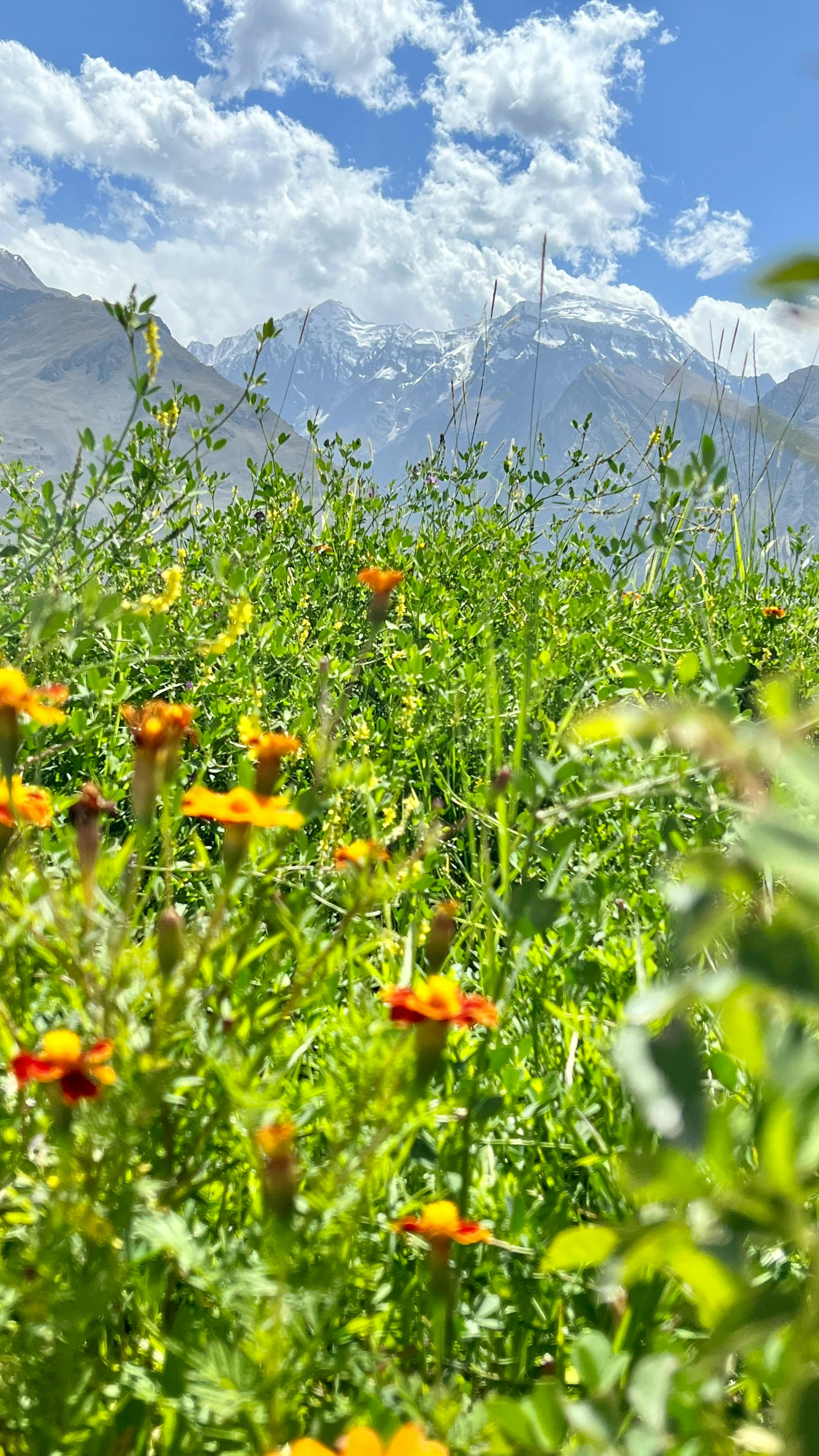 George Tohme - Fotografía