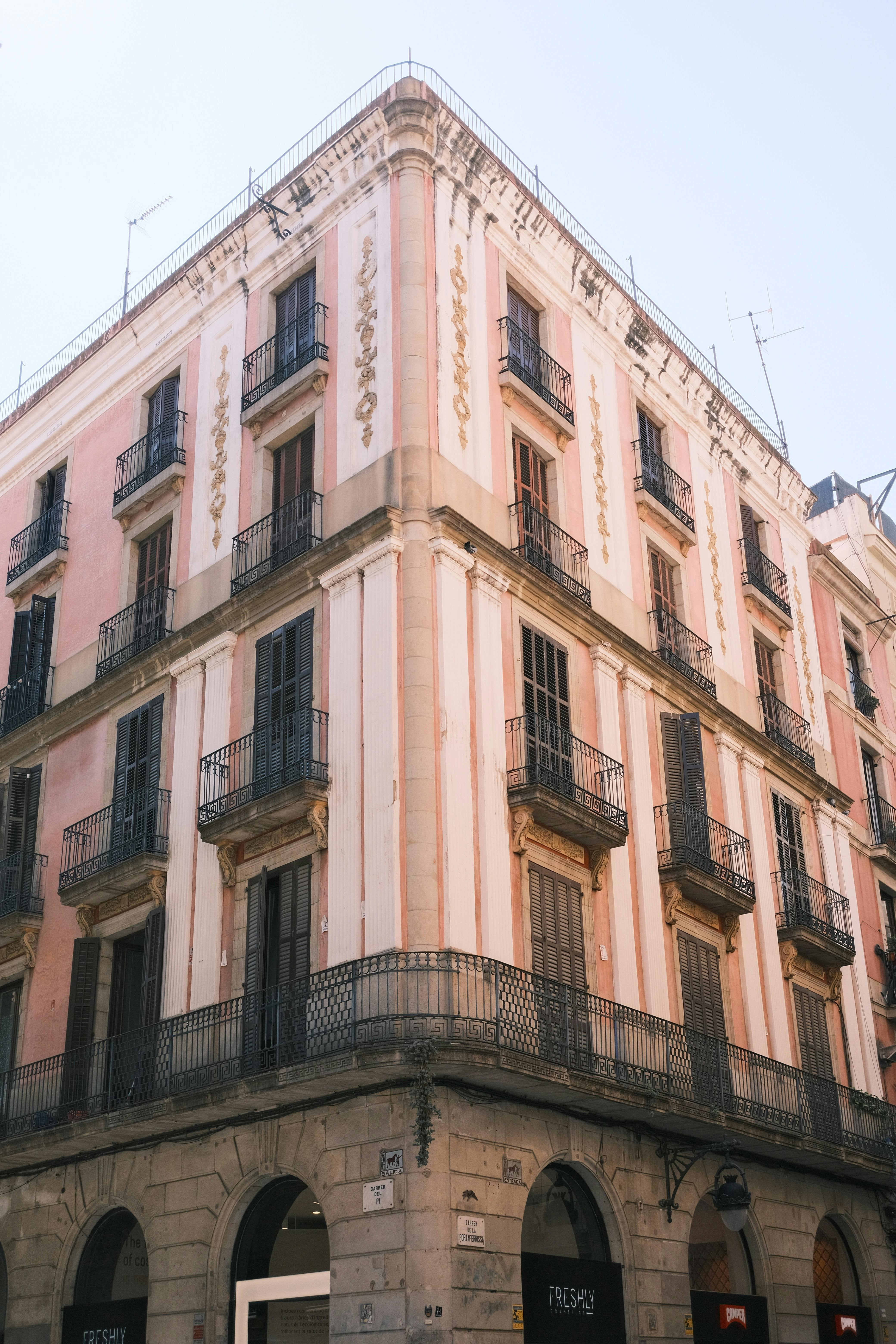 Green Palm Tree Beside Concrete Buildings · Free Stock Photo