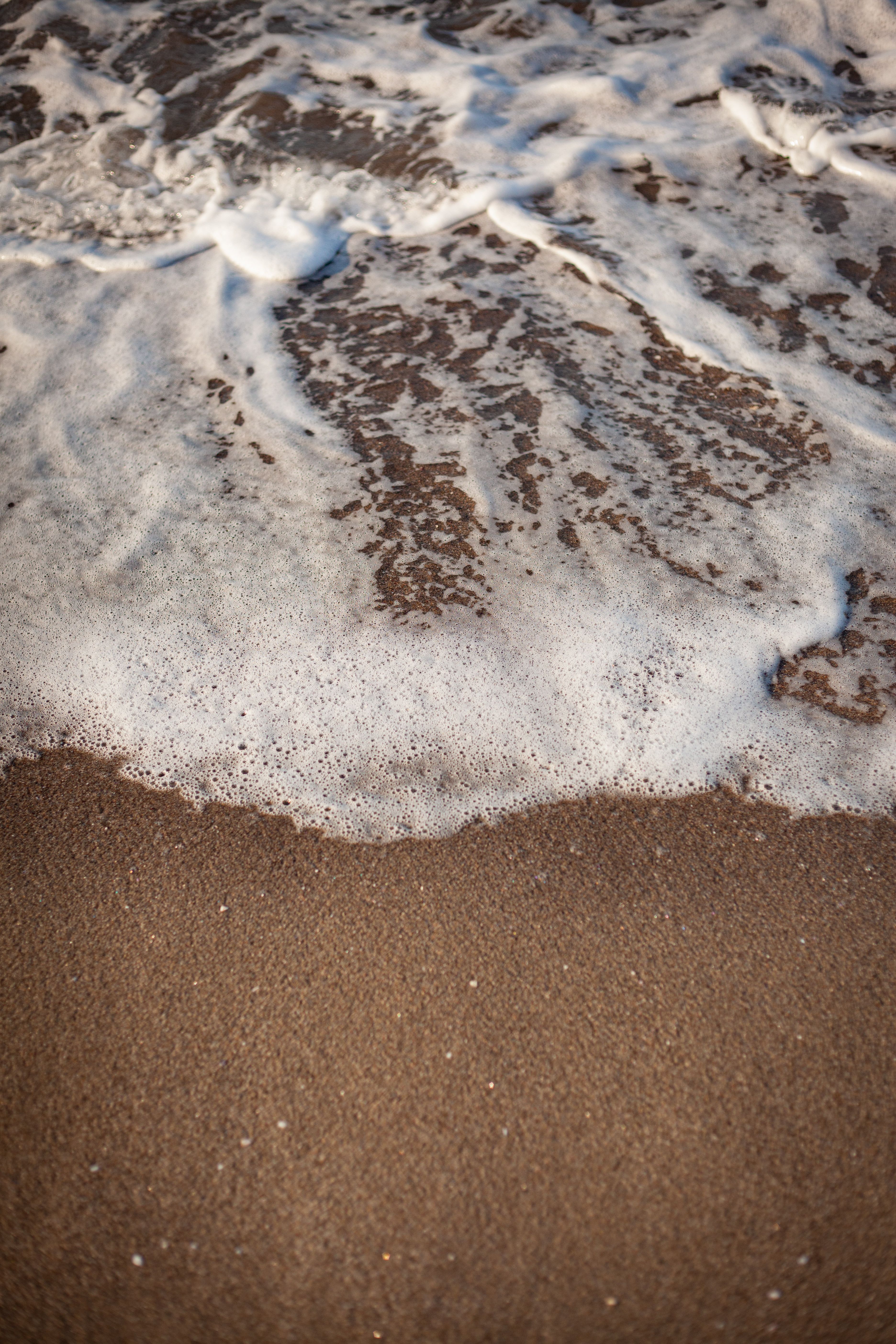 Beach Foam Photos, Download The BEST Free Beach Foam Stock Photos & HD ...