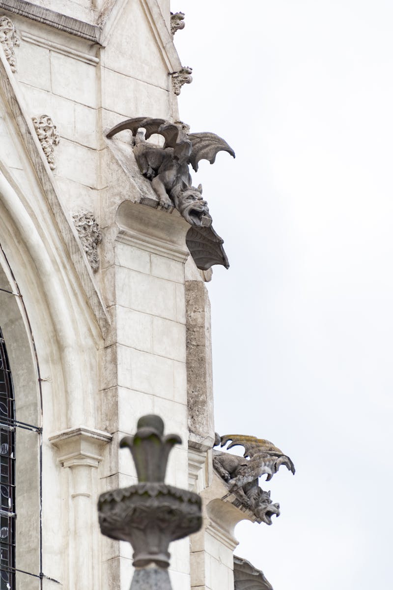 Gargoyles Photos, Download The BEST Free Gargoyles Stock Photos & HD Images