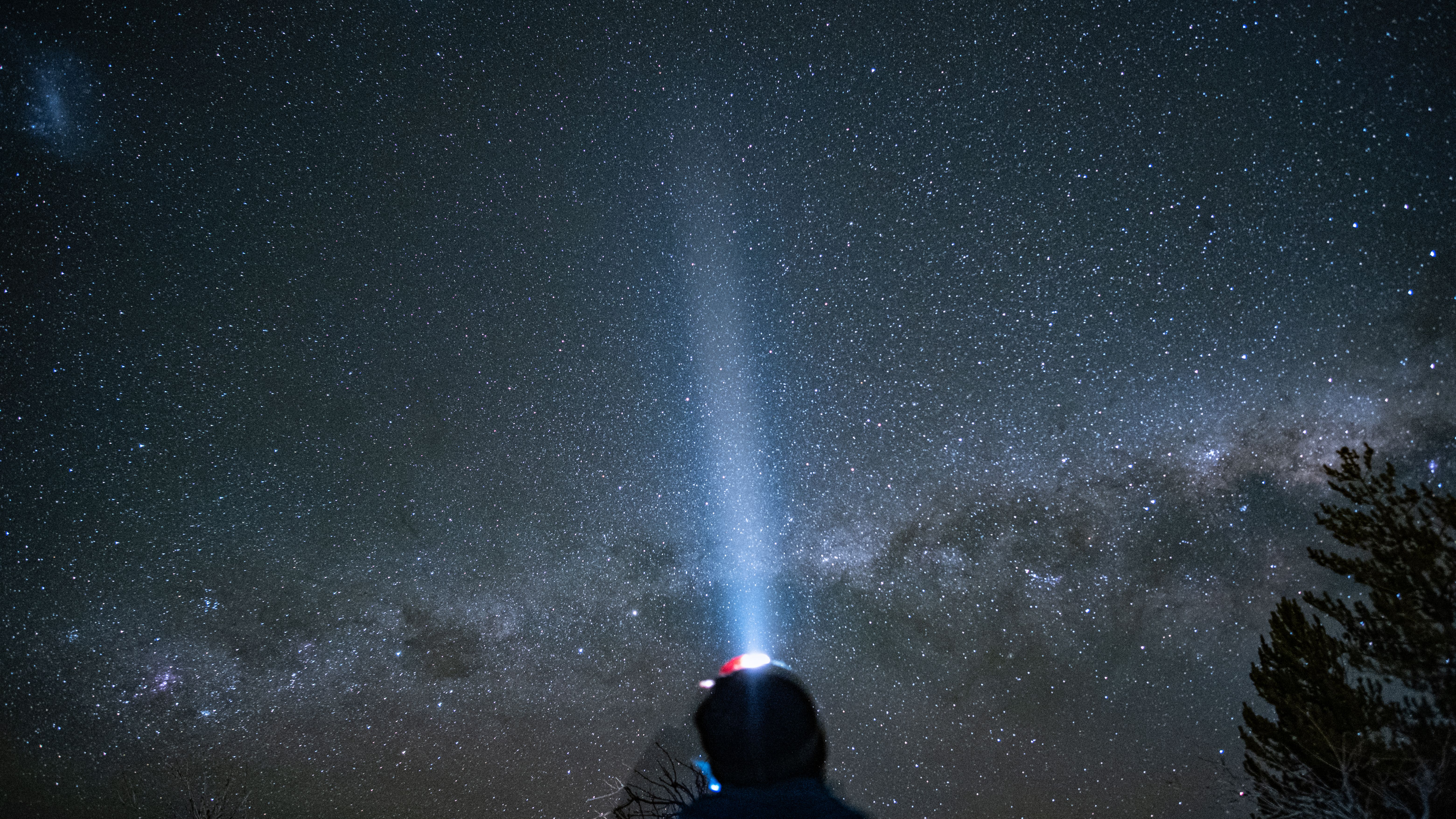 Person with Flashlight under Night Sky with Stars · Free Stock Photo