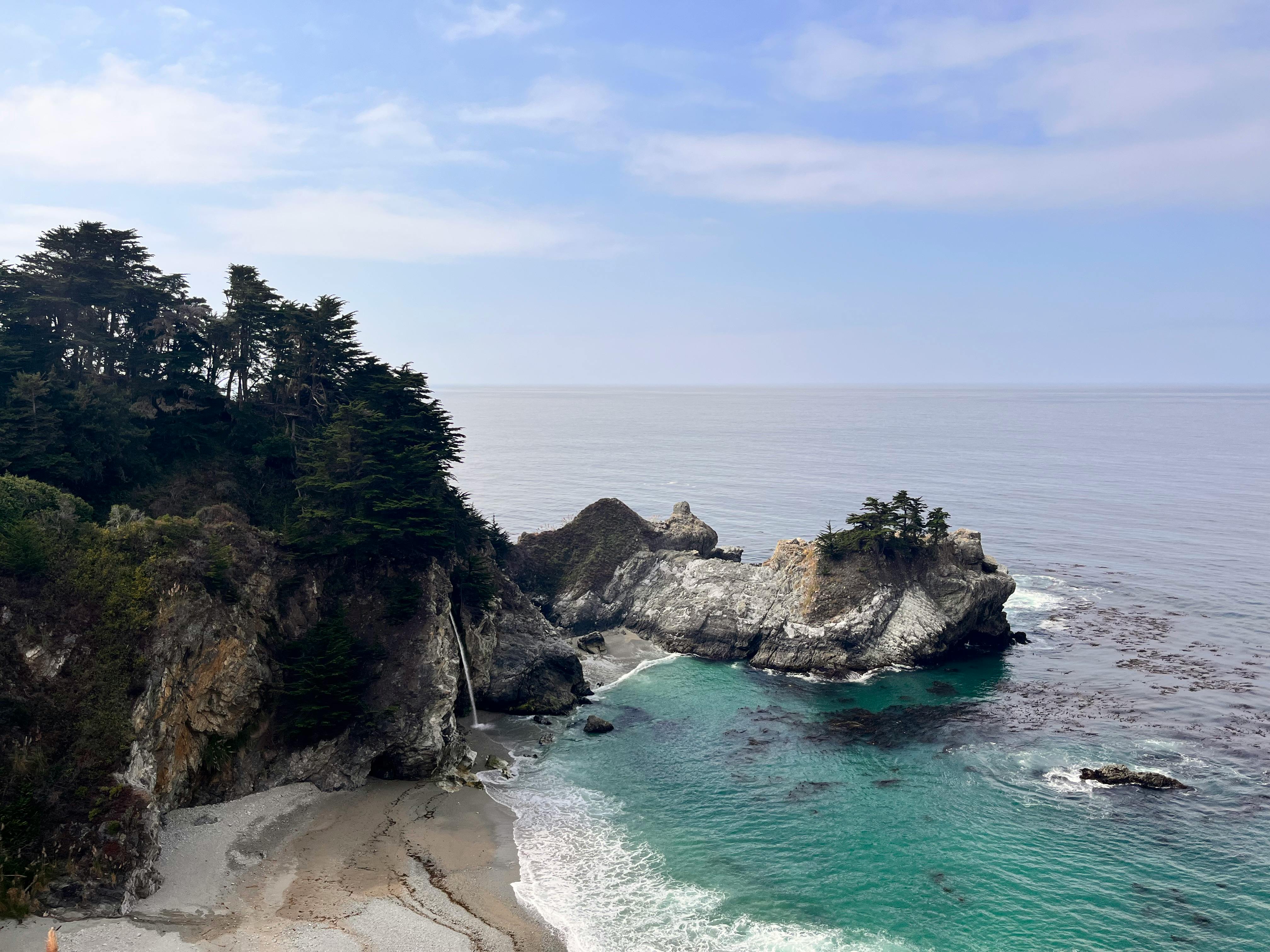 Trees and Rocks on Sea Shore · Free Stock Photo
