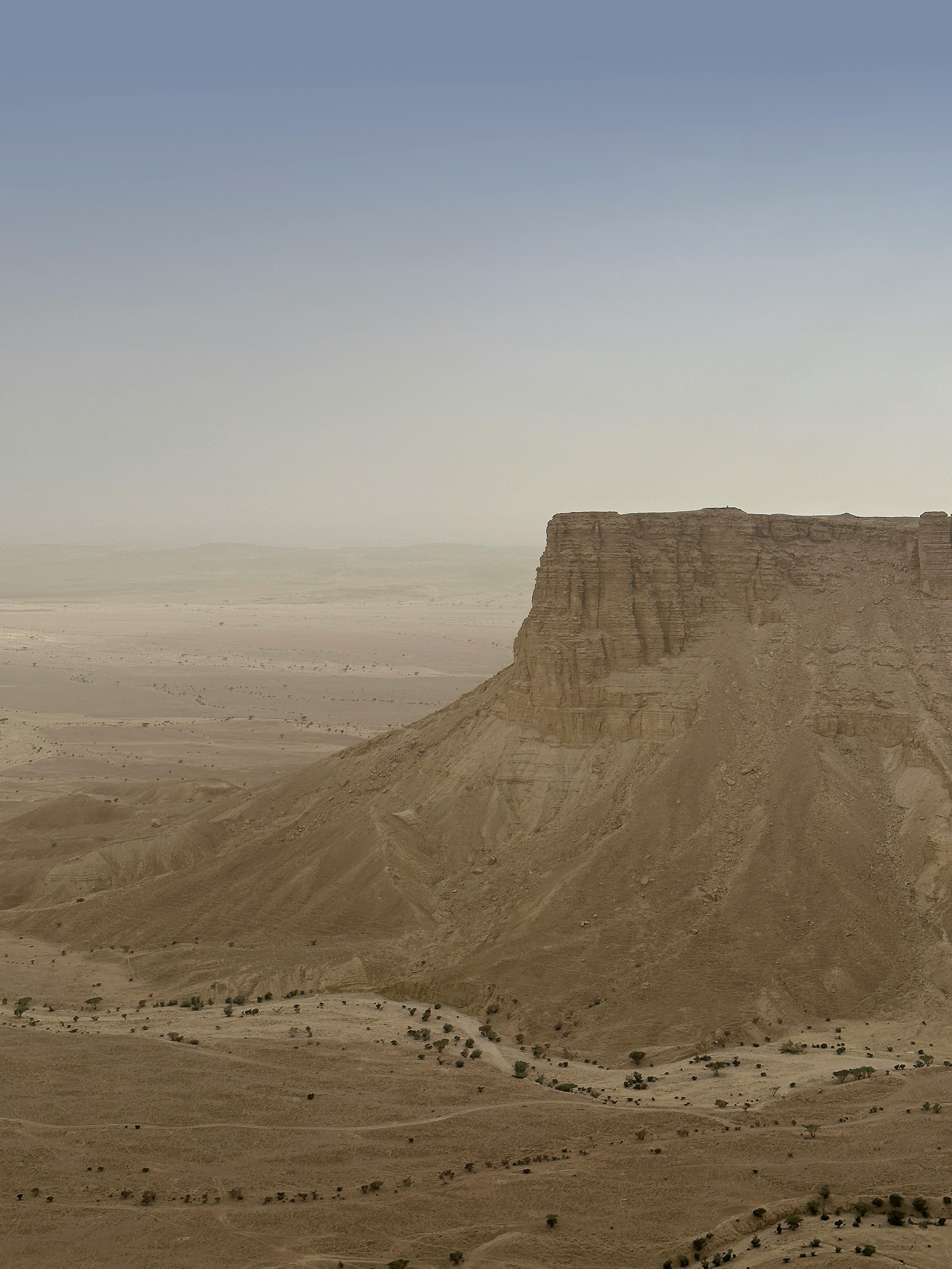 Alula Photos, Download The BEST Free Alula Stock Photos & HD Images