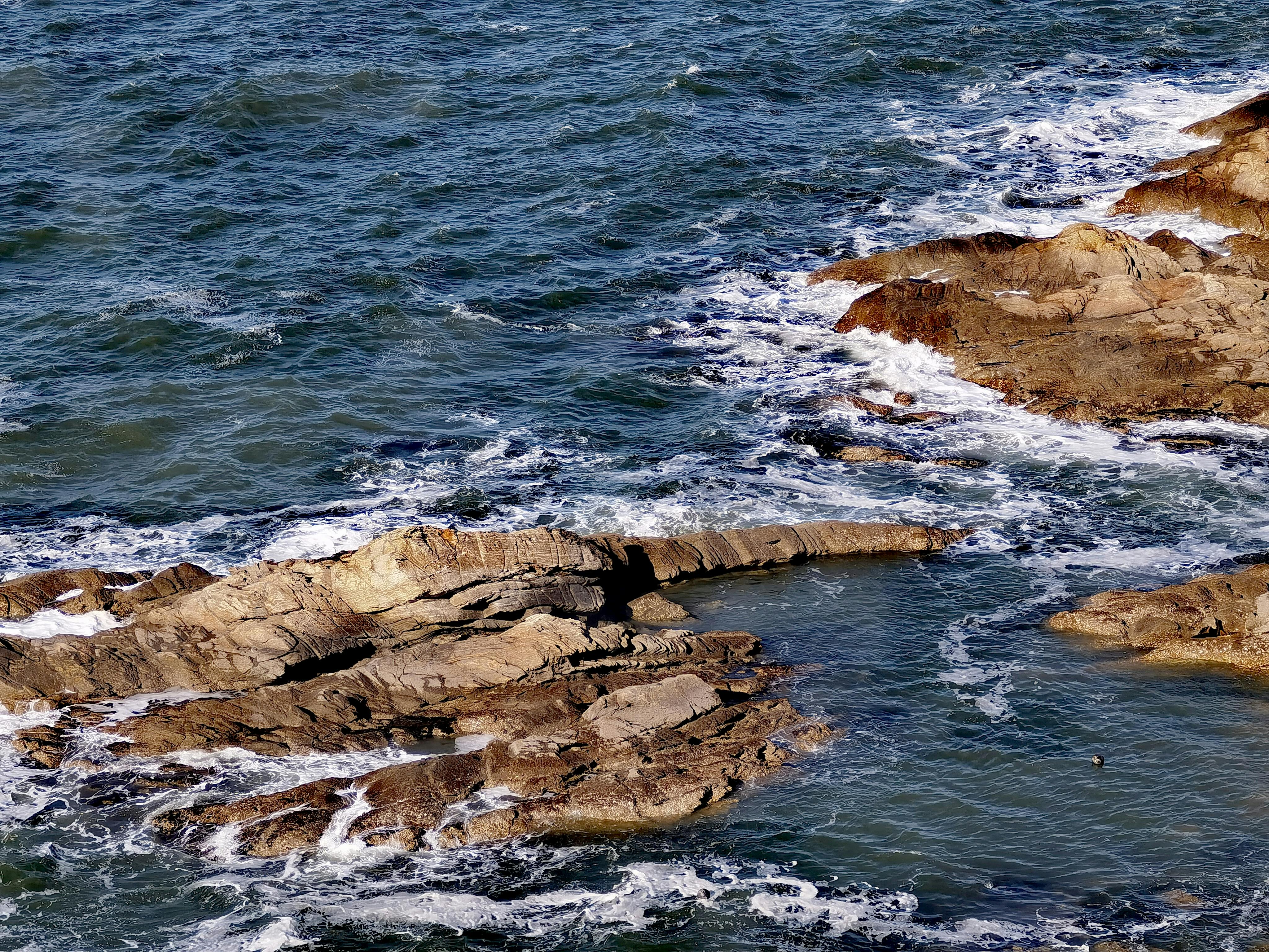 Photo of Sea Wave · Free Stock Photo