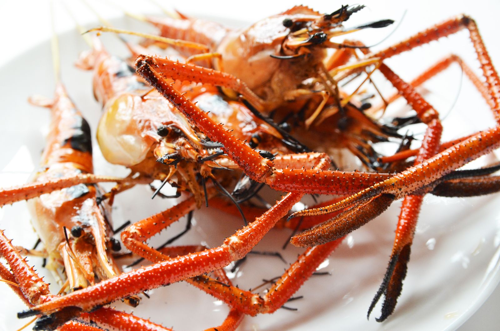 Lobsters Photos, Download The BEST Free Lobsters Stock Photos & HD Images