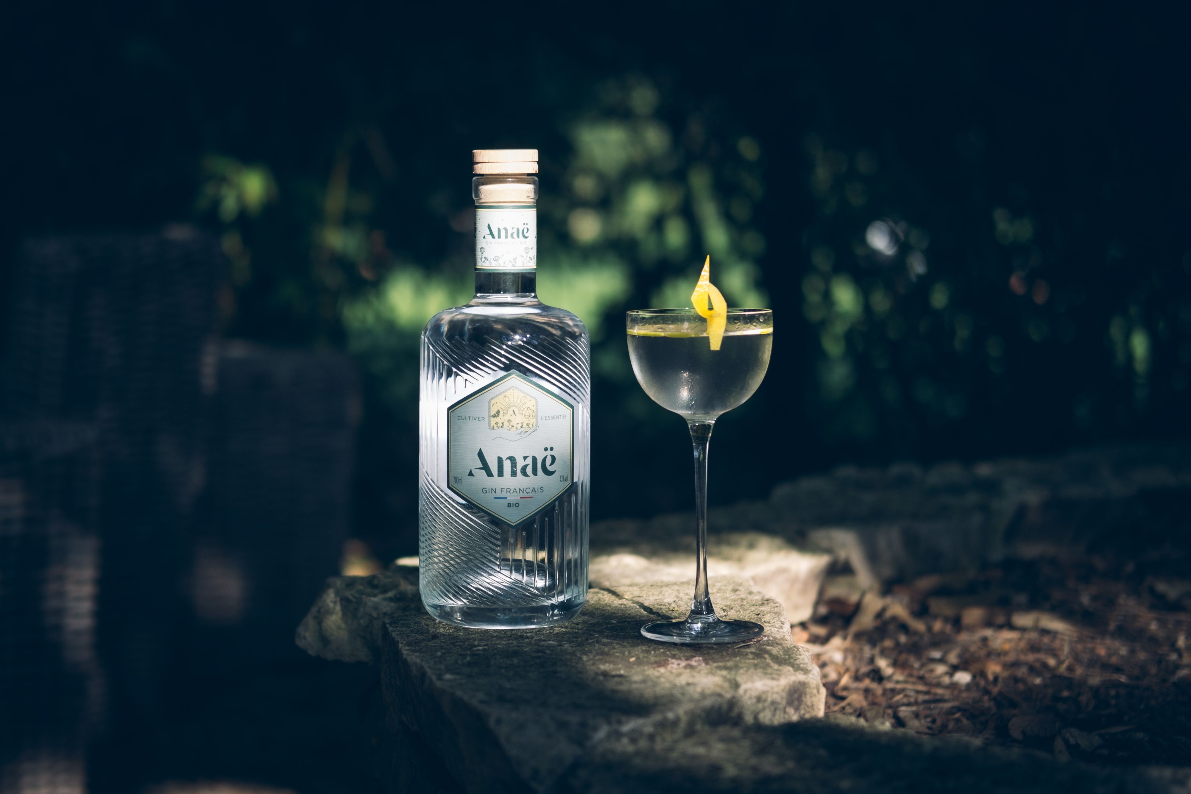 Bottle of Gin · Free Stock Photo