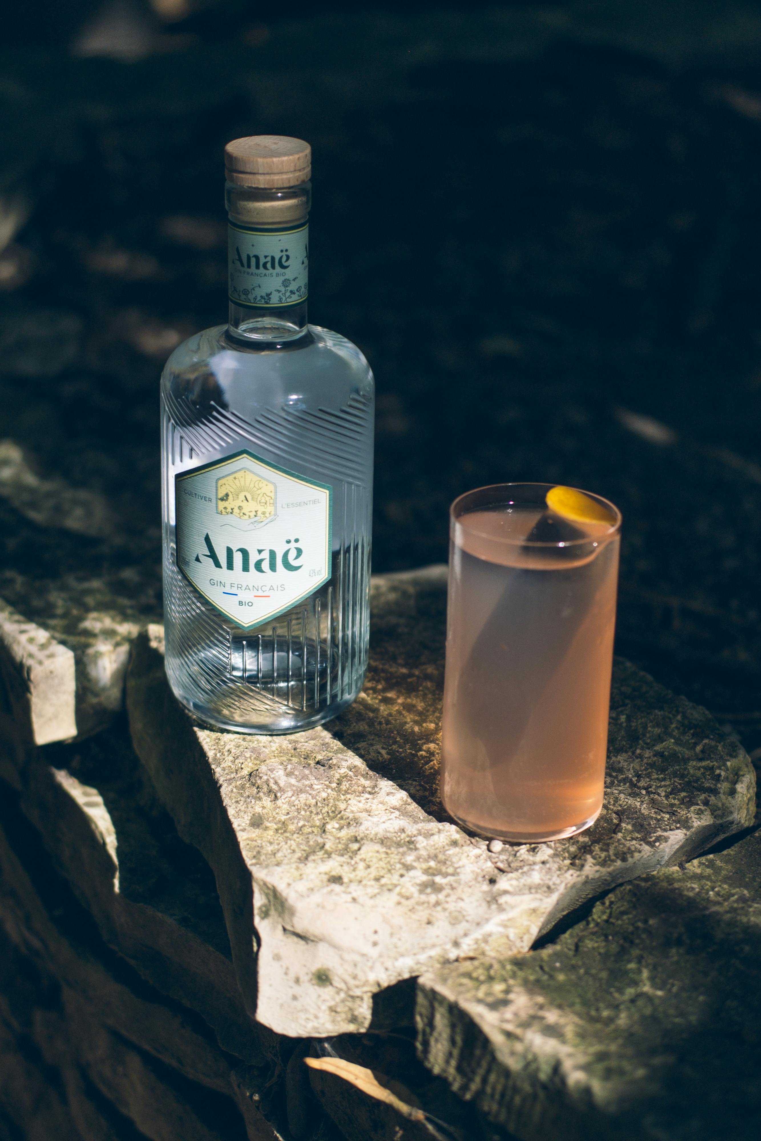 Bottle of Anae Gin · Free Stock Photo