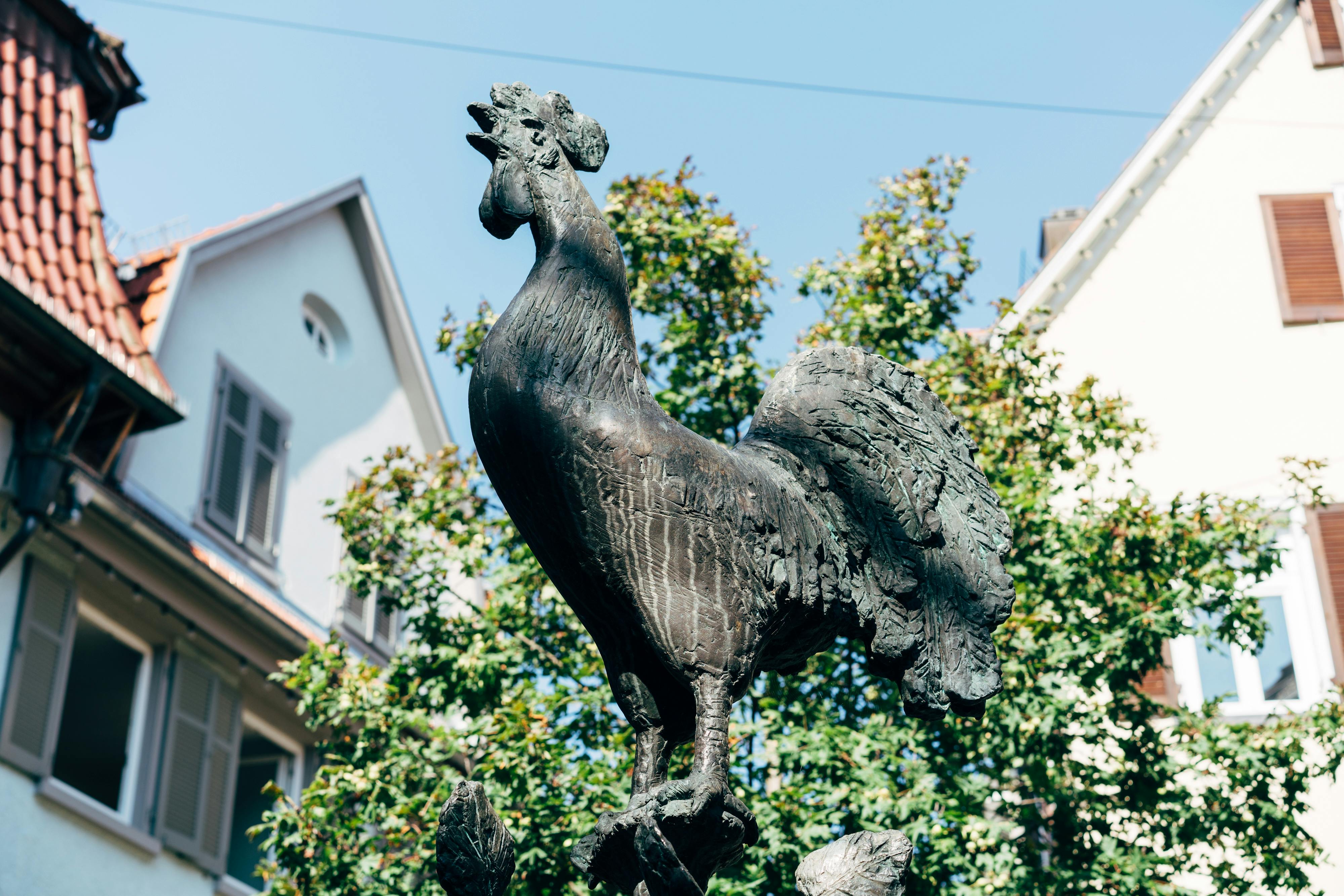 Symbolic Rooster Statue Photos, Download The BEST Free Symbolic Rooster ...