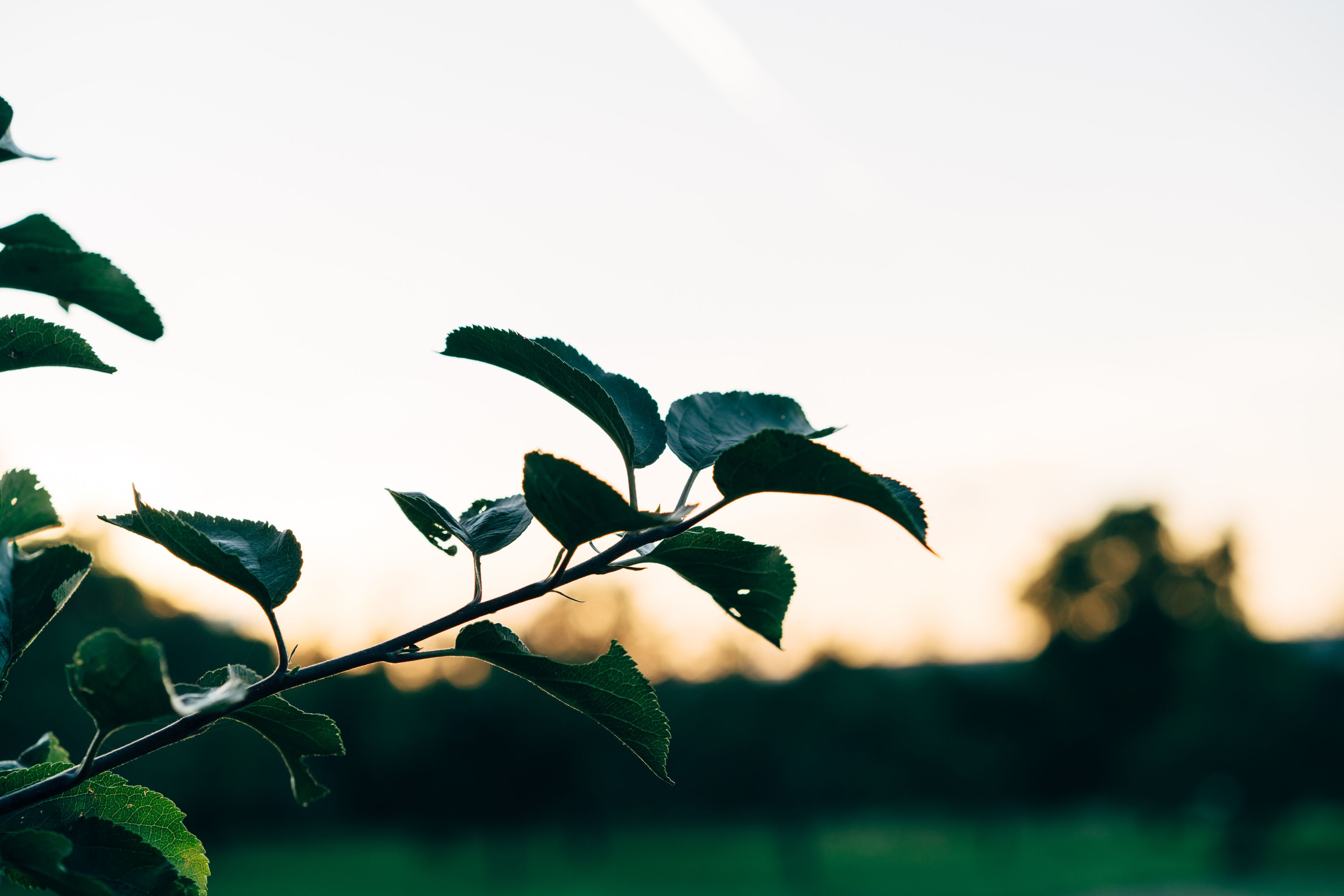 Bounty Photos, Download The BEST Free Bounty Stock Photos & HD Images