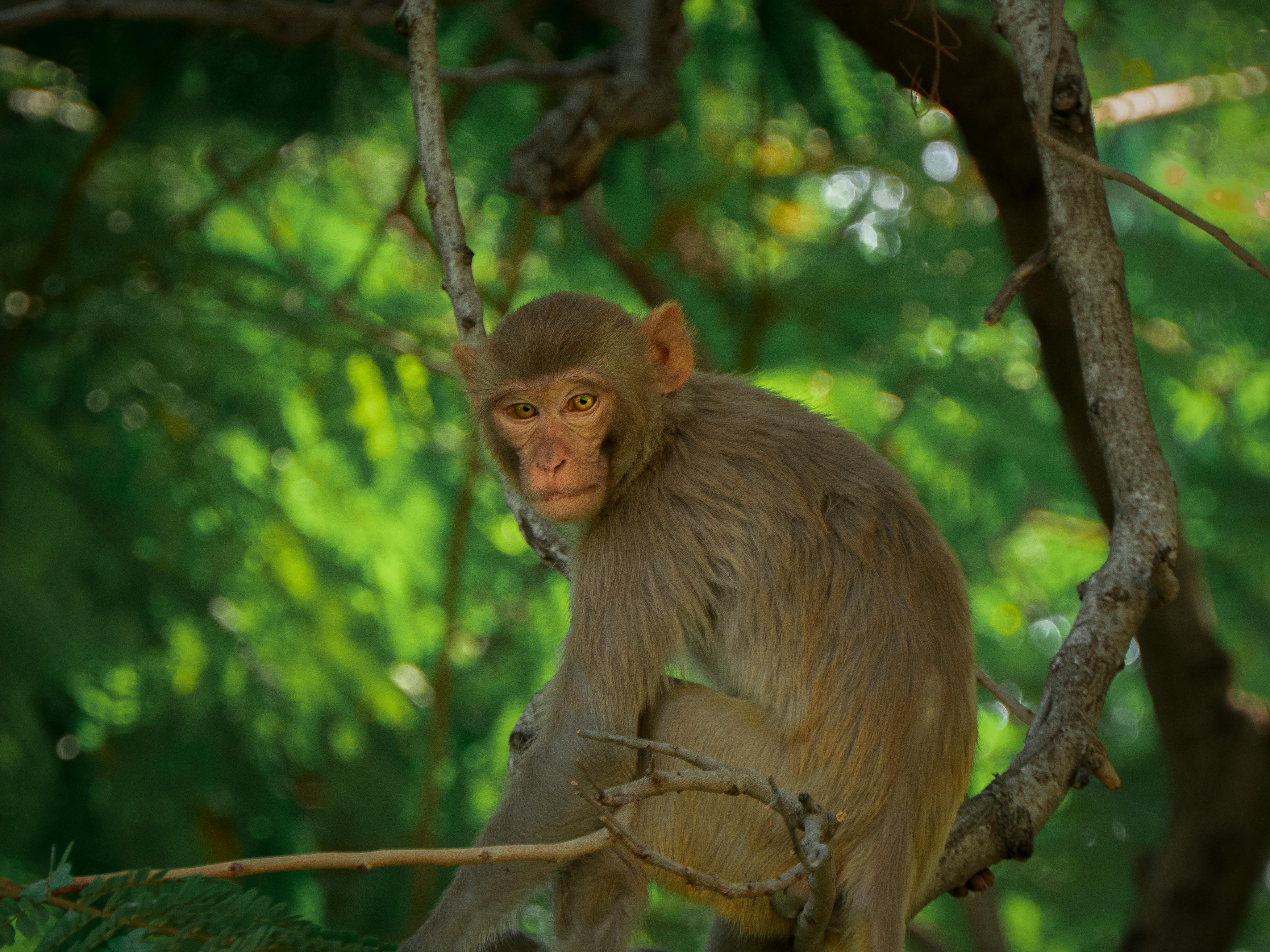 Aryan Gupta - Photography