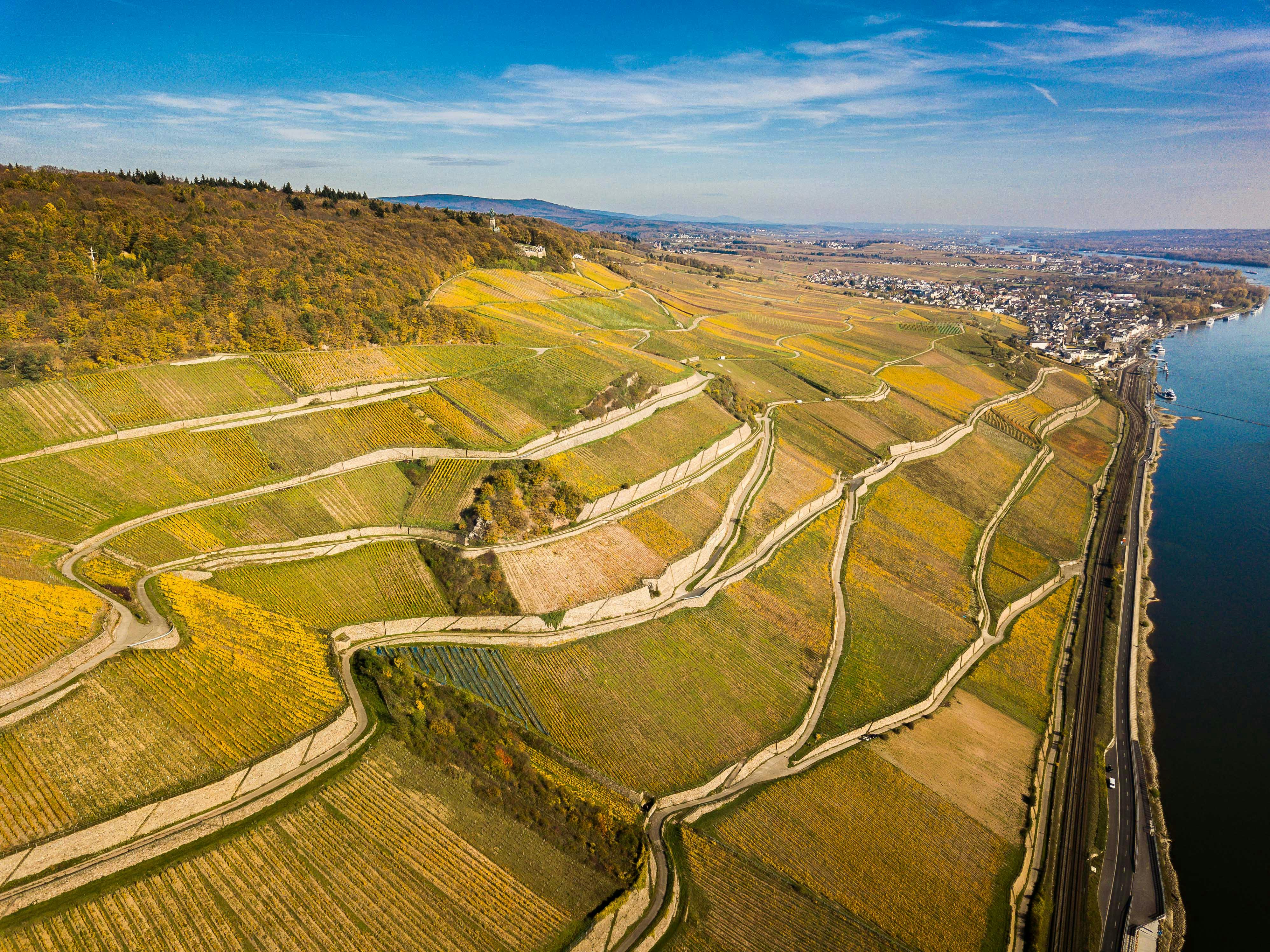 Rural Fields on Hill with Town behind · Free Stock Photo