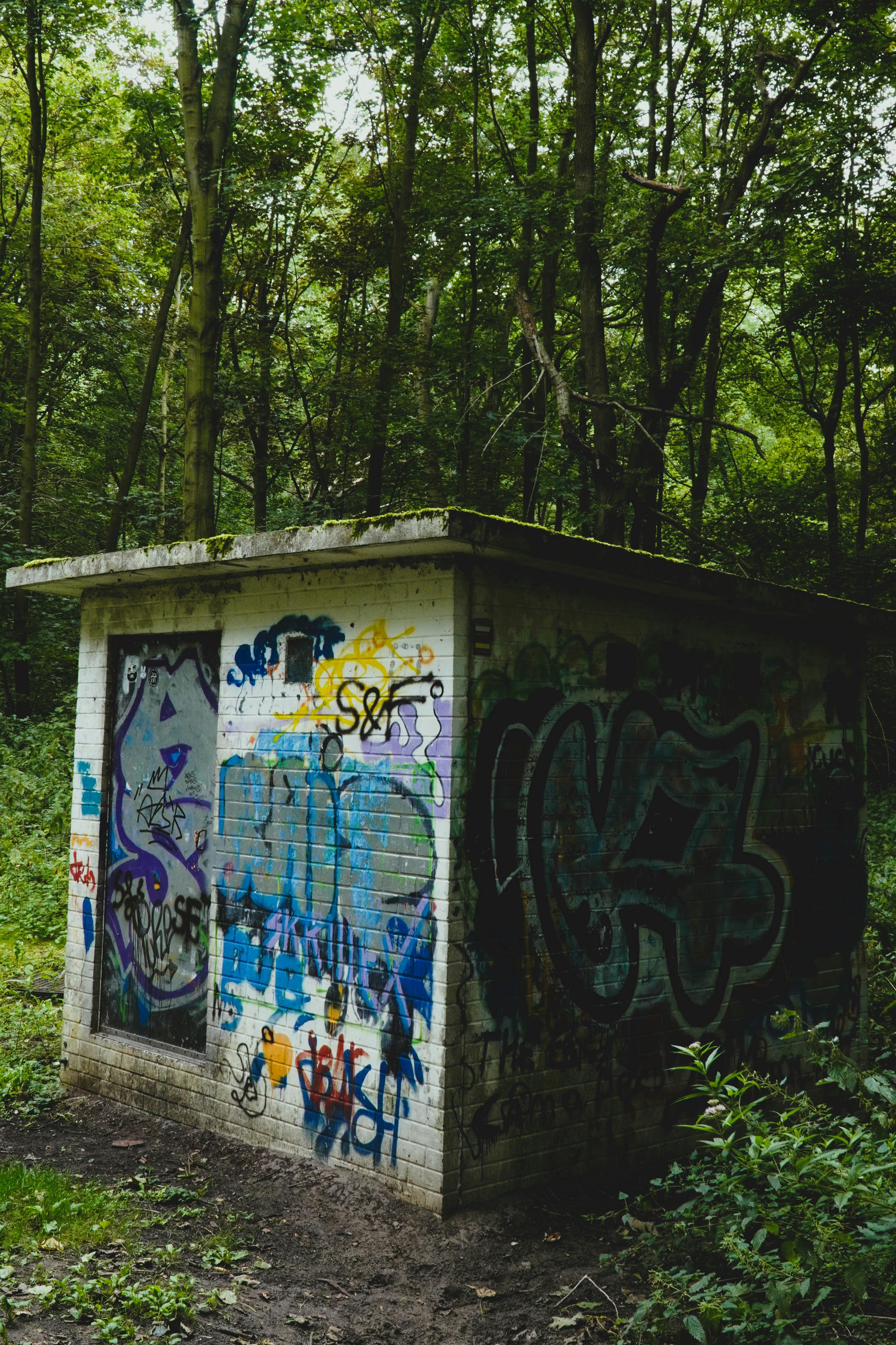 Graffiti on Shed in Forest · Free Stock Photo