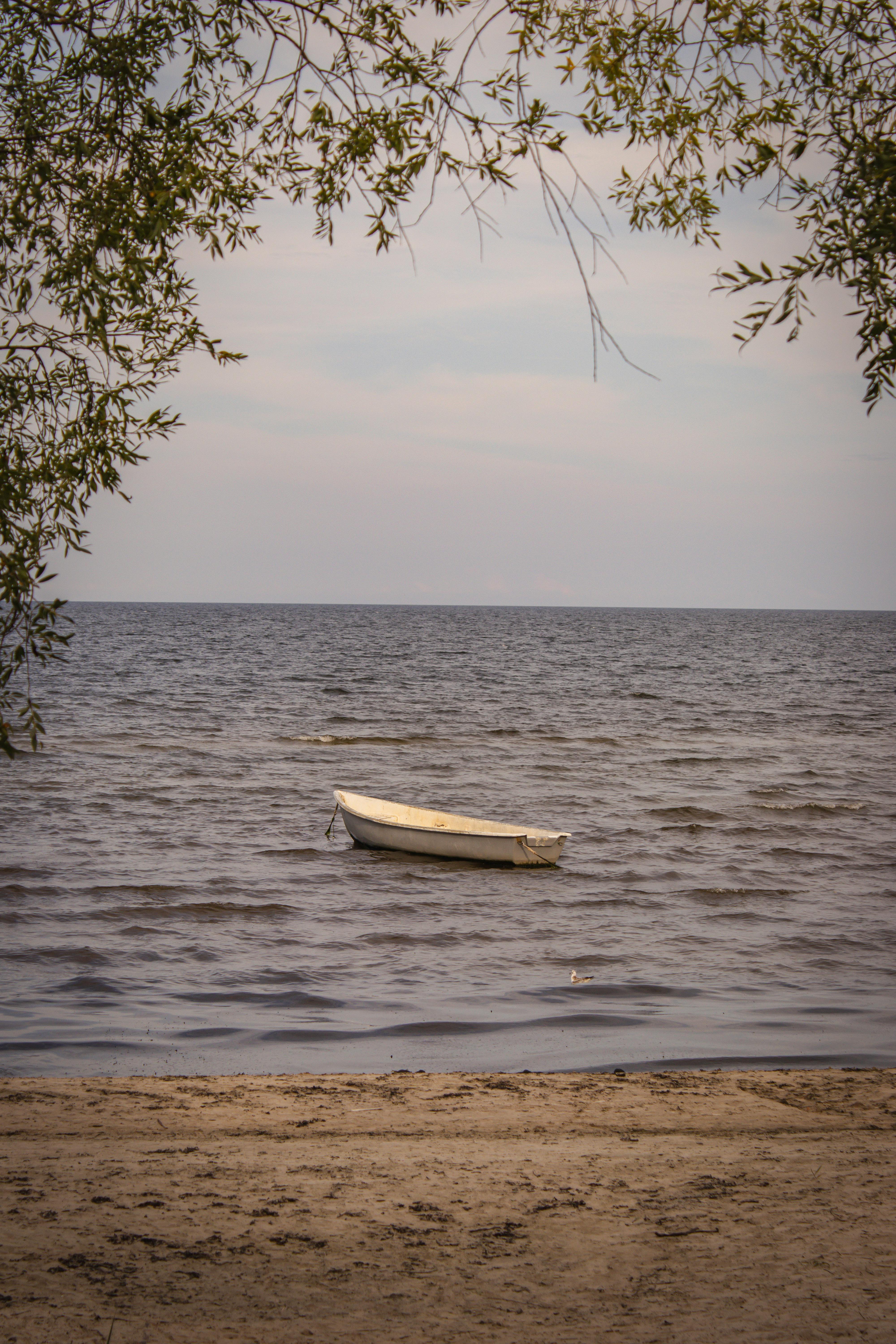 Empty Boat on Sea Shore · Free Stock Photo