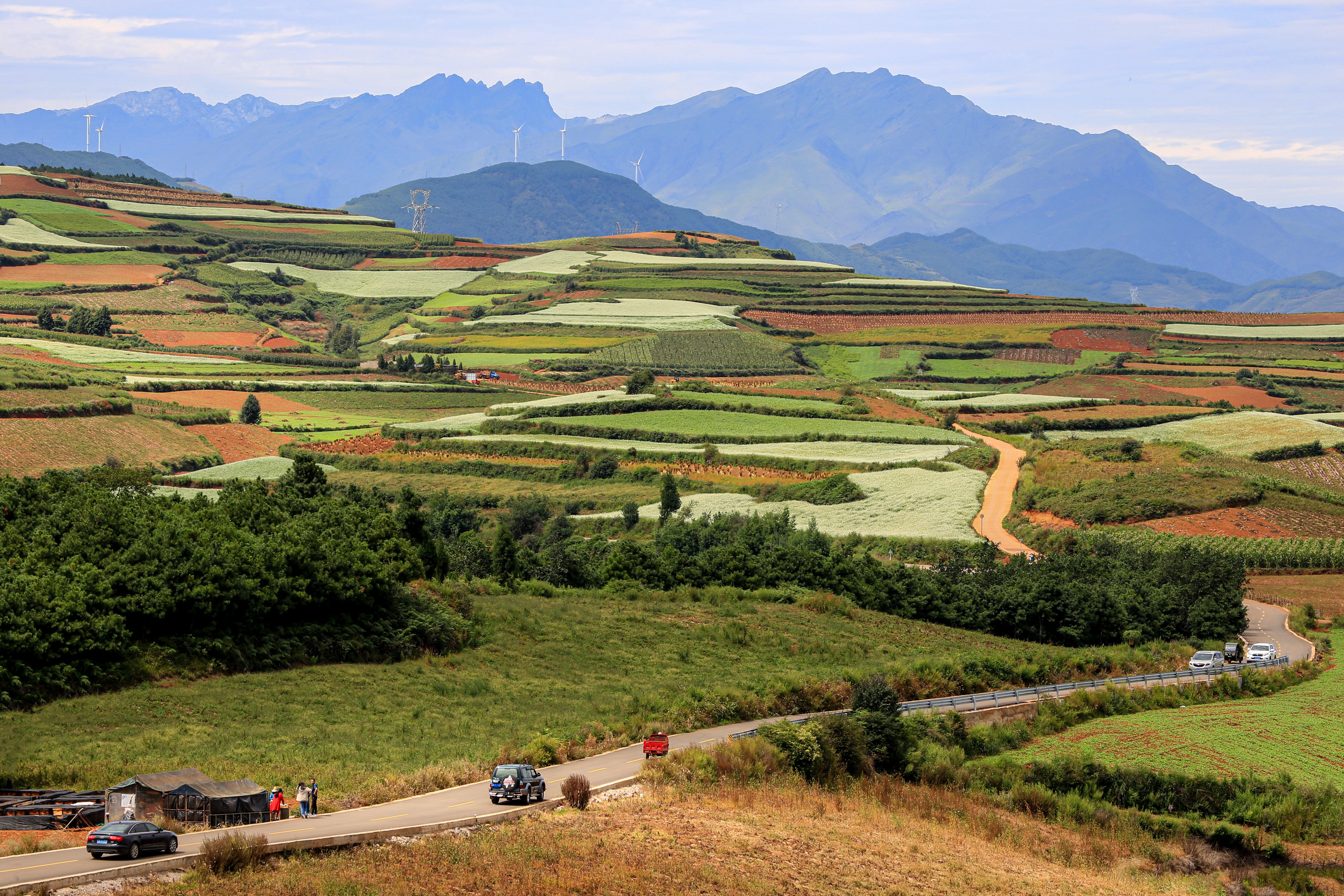 Rural Landscape with Mountains in the Background · Free Stock Photo
