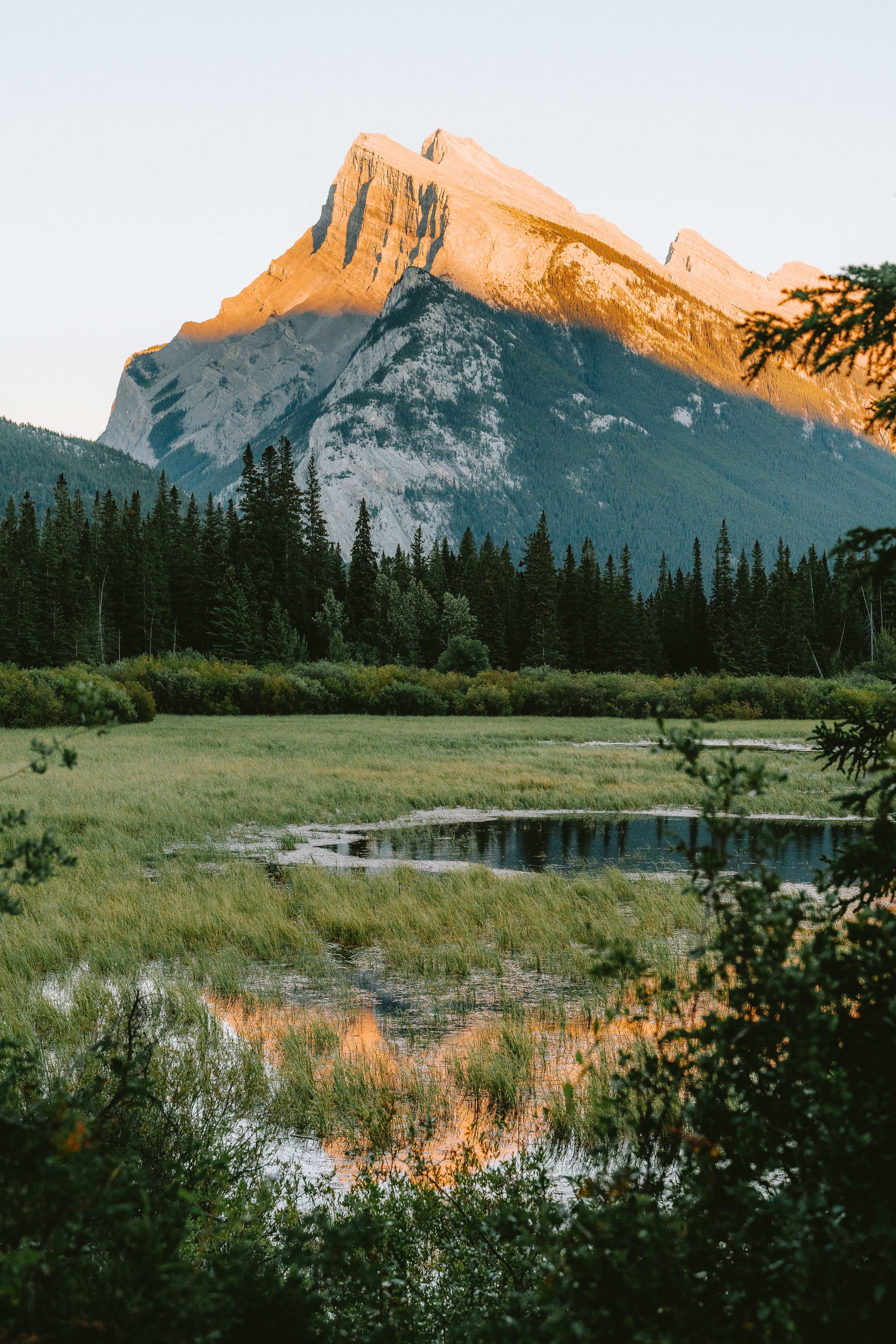 Swamp at Banff National Park in Canada · Free Stock Photo