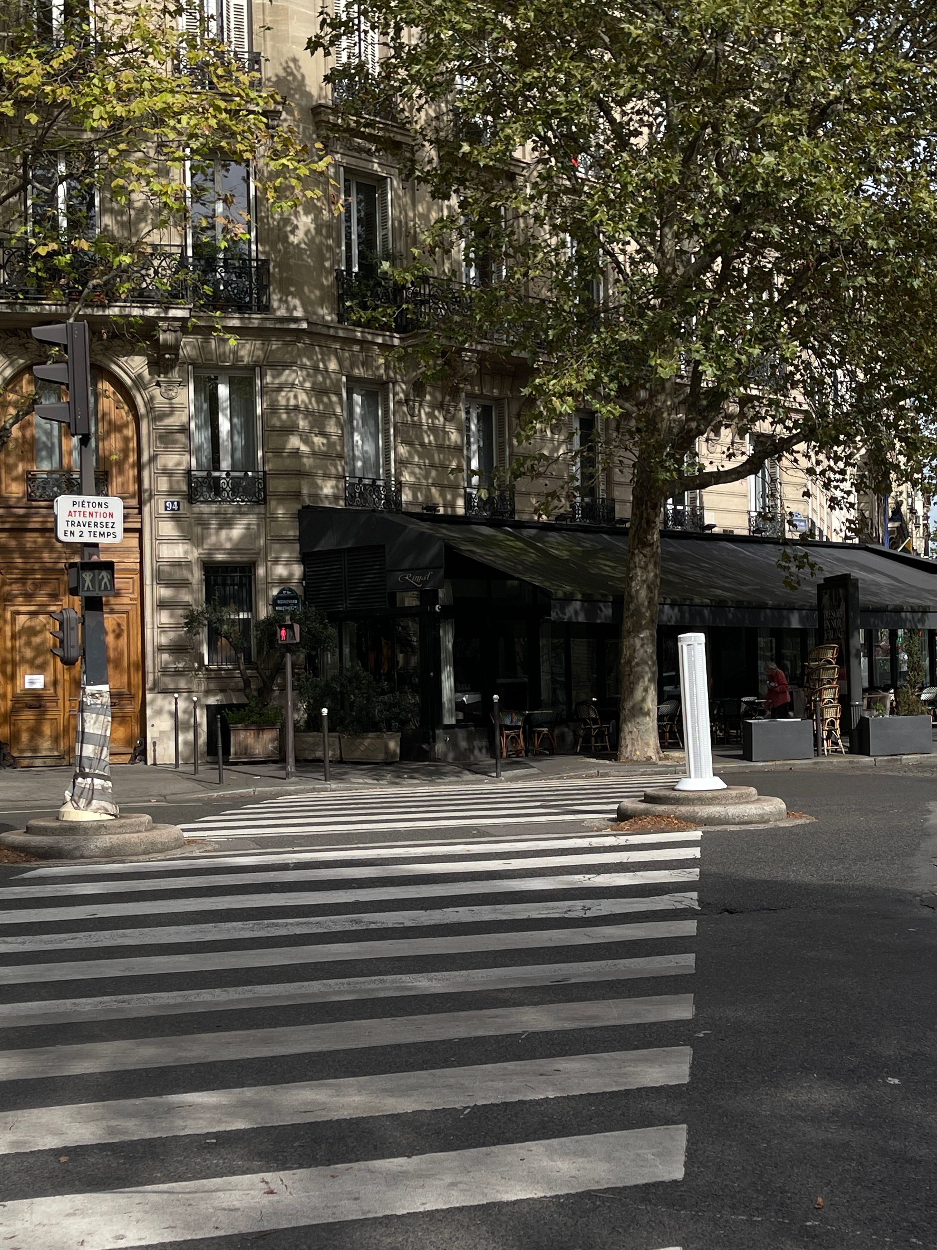 Crosswalk in Autumnal Paris · Free Stock Photo