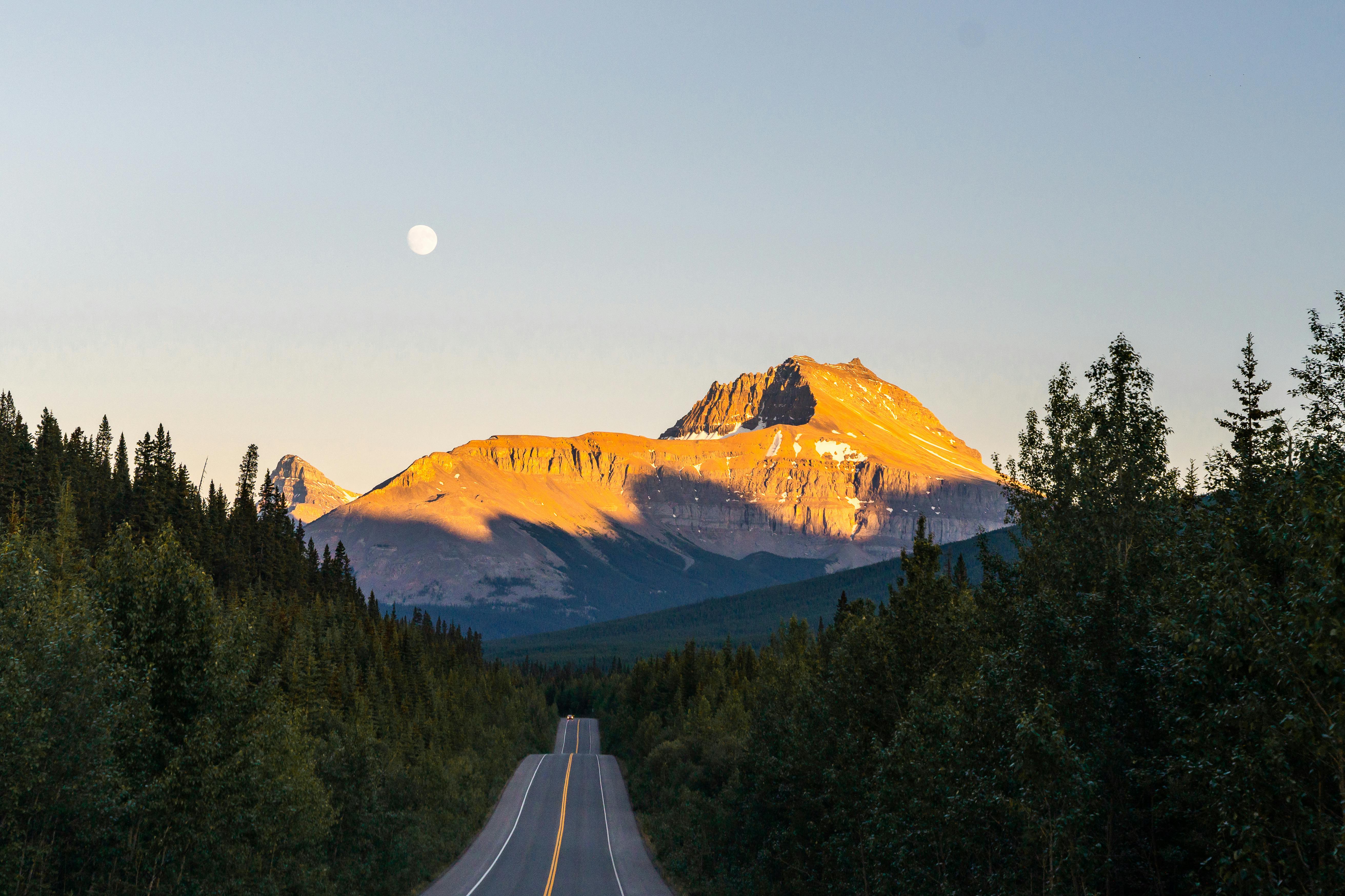 Forest Inside Wallpaper Photos, Download The BEST Free Forest Inside ...