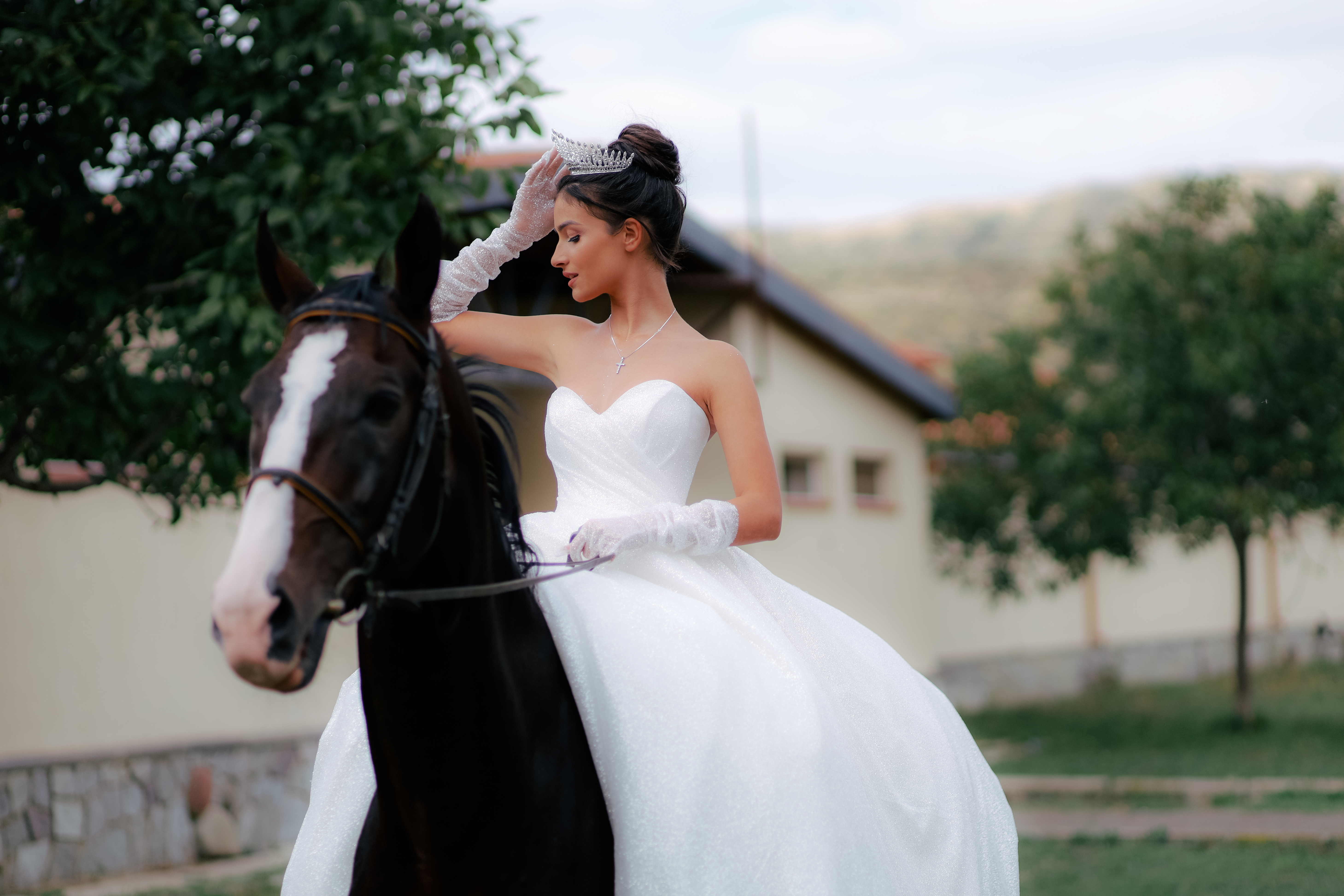 Elegant Bride on Horse · Free Stock Photo
