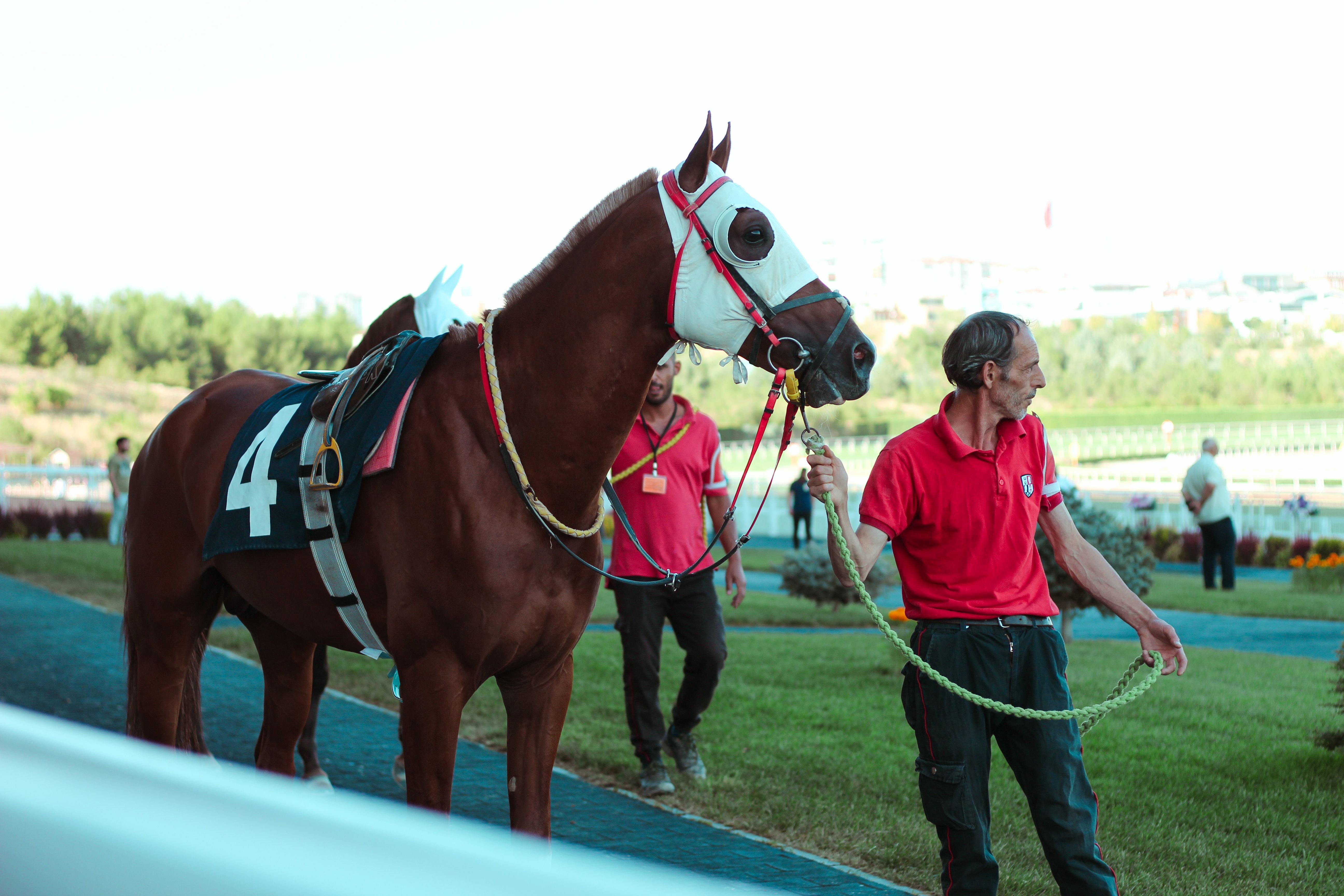 Man Leading Horse Around Track · Free Stock Photo