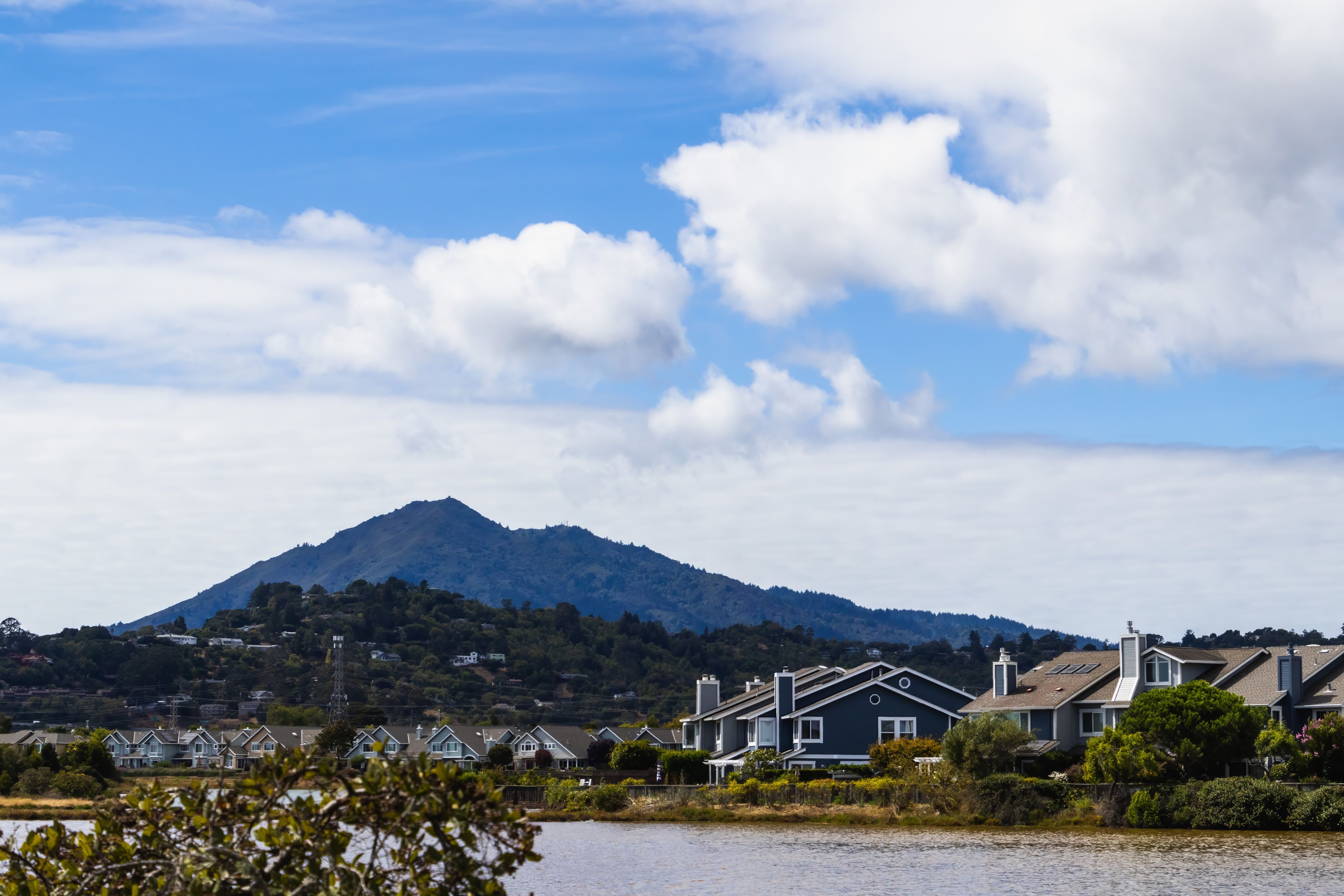 Best Views in Wescott Plantation SC