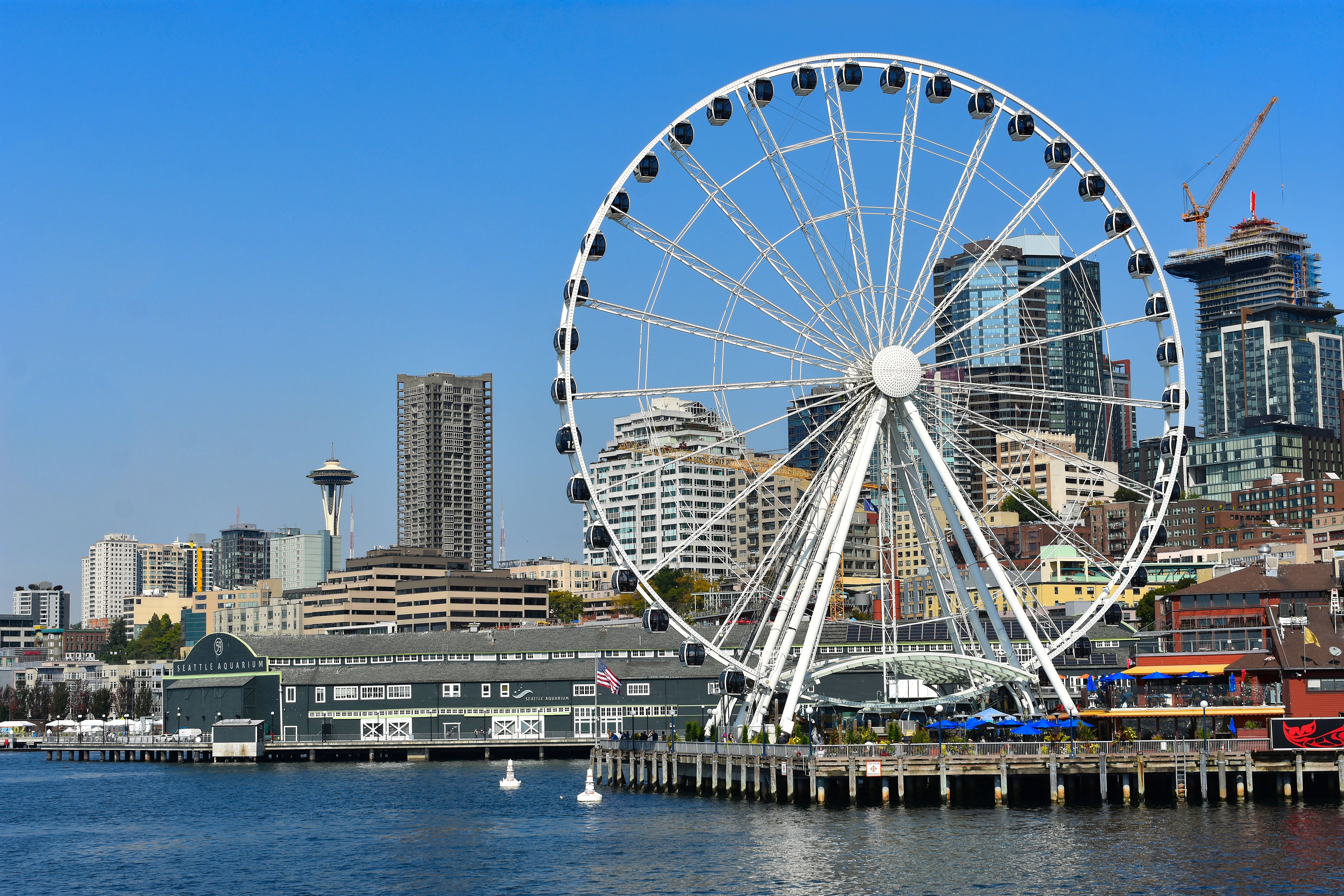The Seattle Great Wheel on Sea Coast · Free Stock Photo