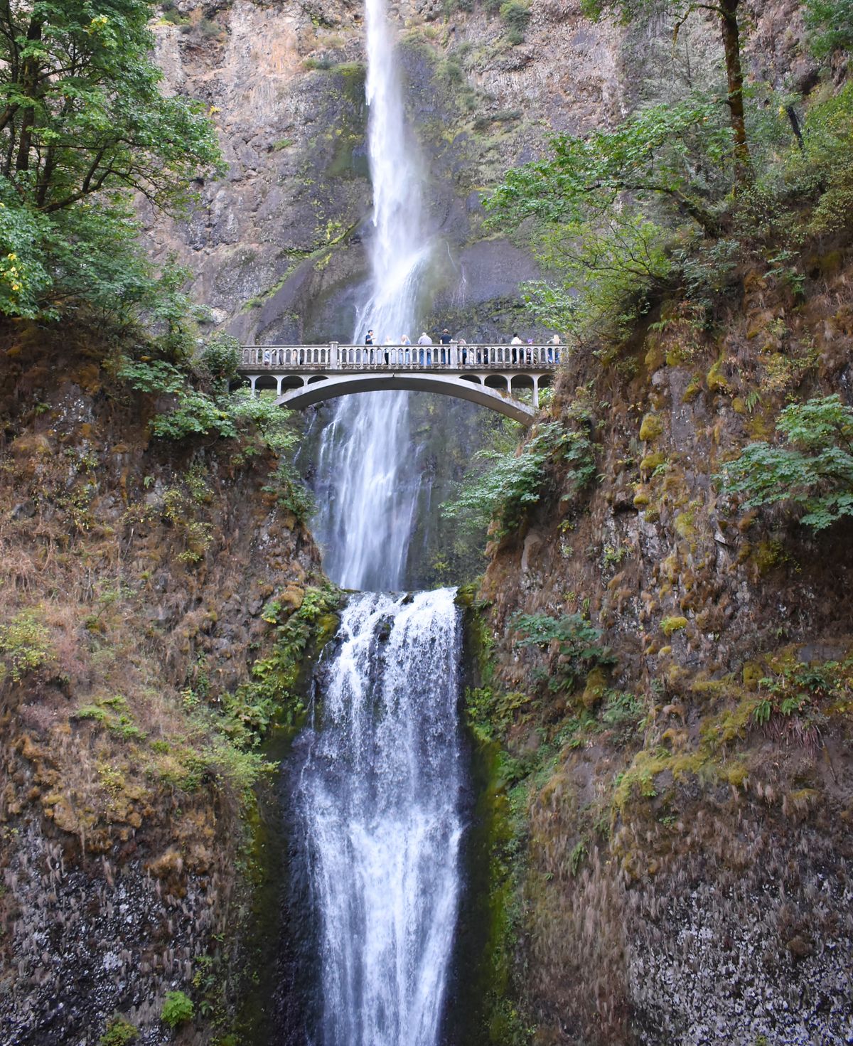 Multnomah Falls Photos, Download The BEST Free Multnomah Falls Stock ...