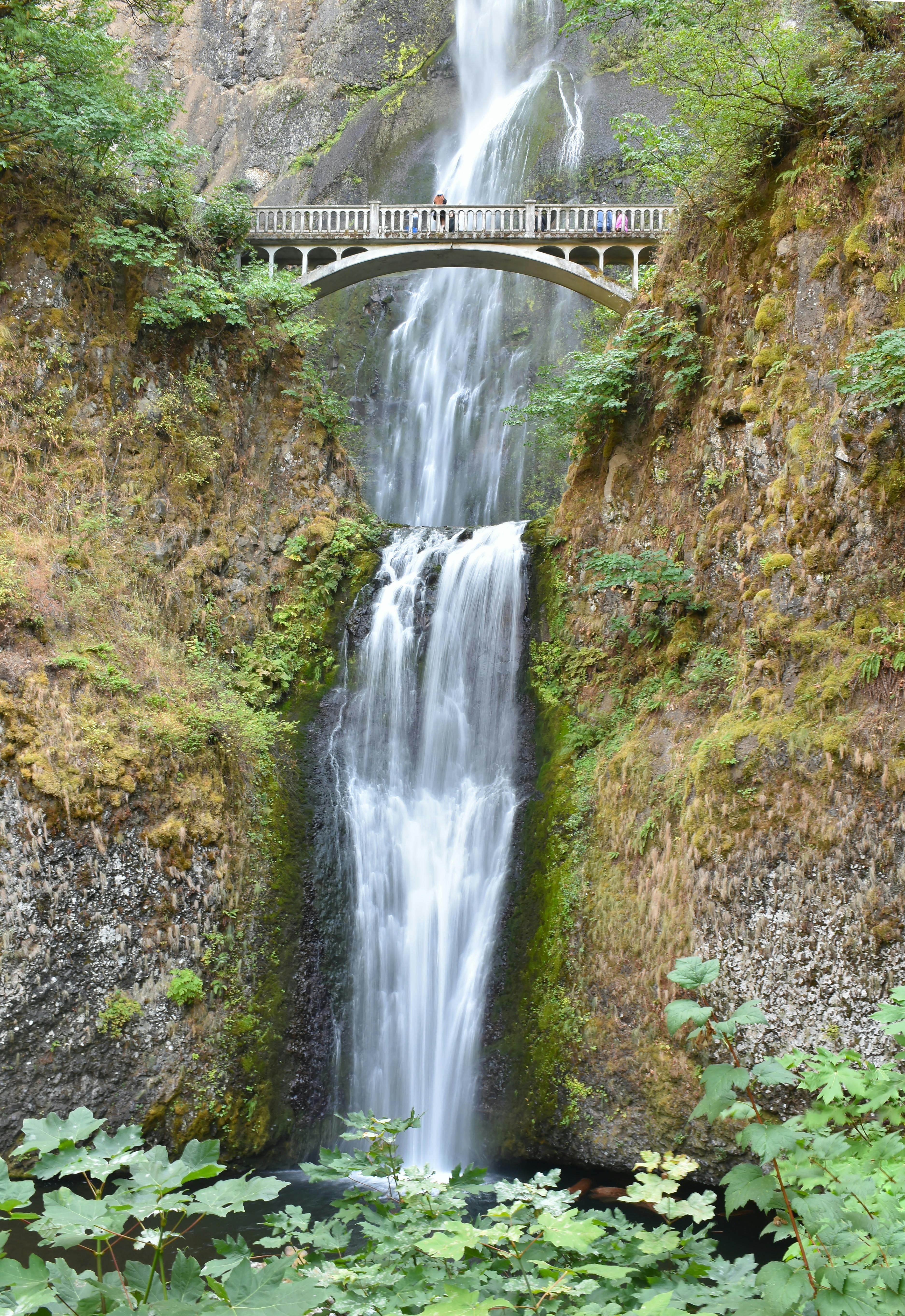 Footbridge over Waterfall in Oregon · Free Stock Photo