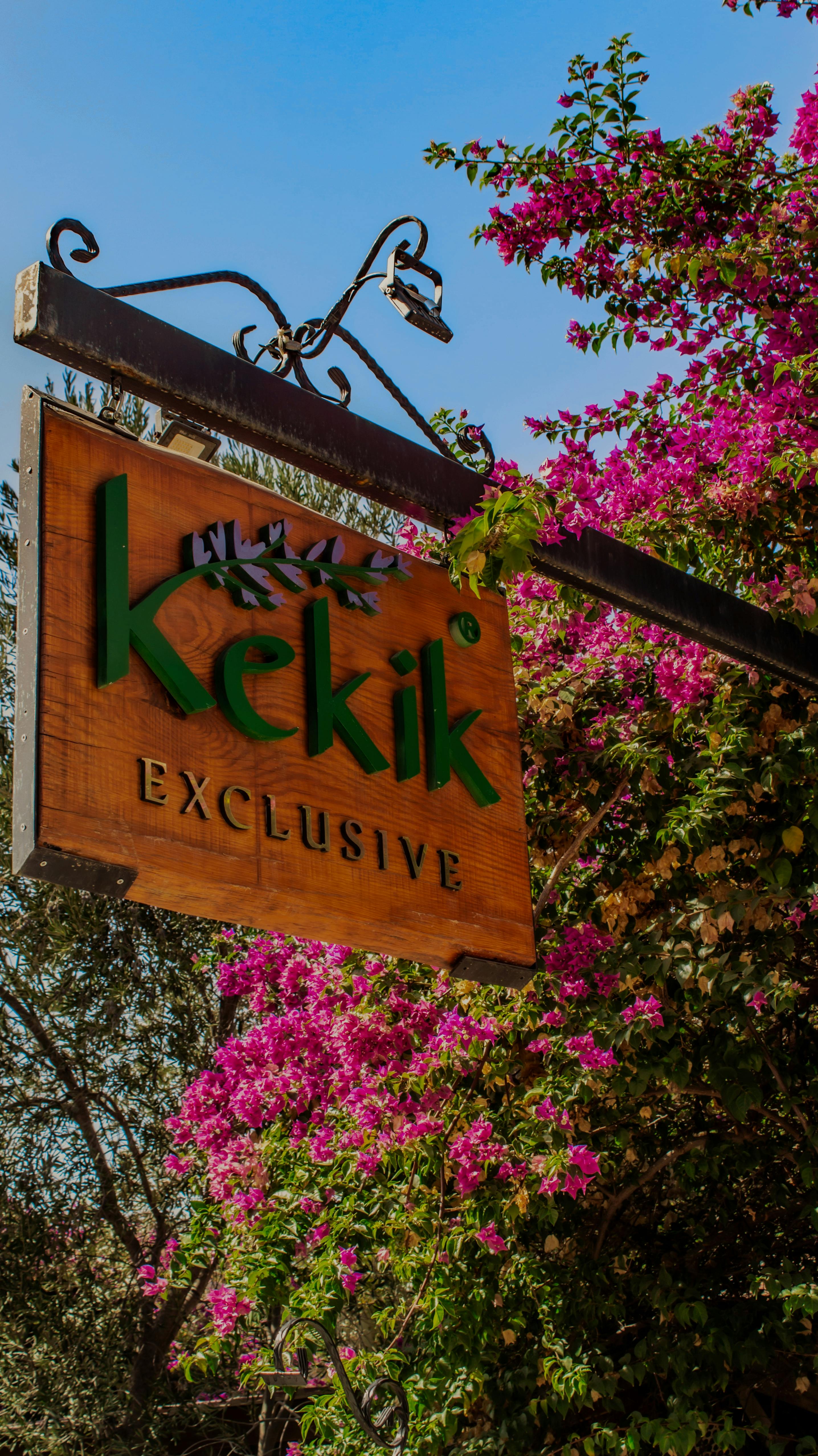 ดาวเคราะห์สัตว์ของ Kekik Photos, Download The BEST Free ดาวเคราะห์สัตว์ ...