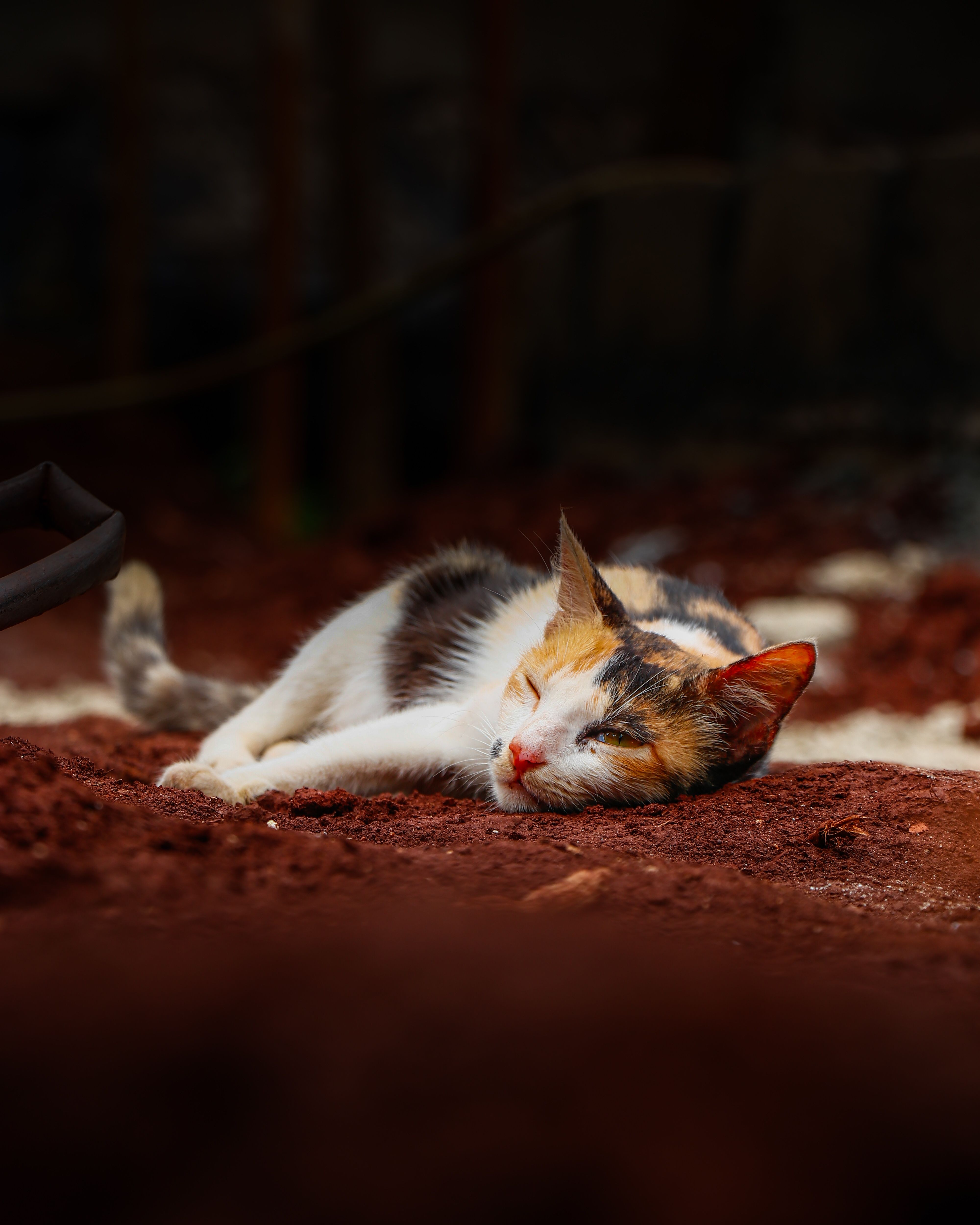 Week And Tired Photos, Download The BEST Free Week And Tired Stock ...