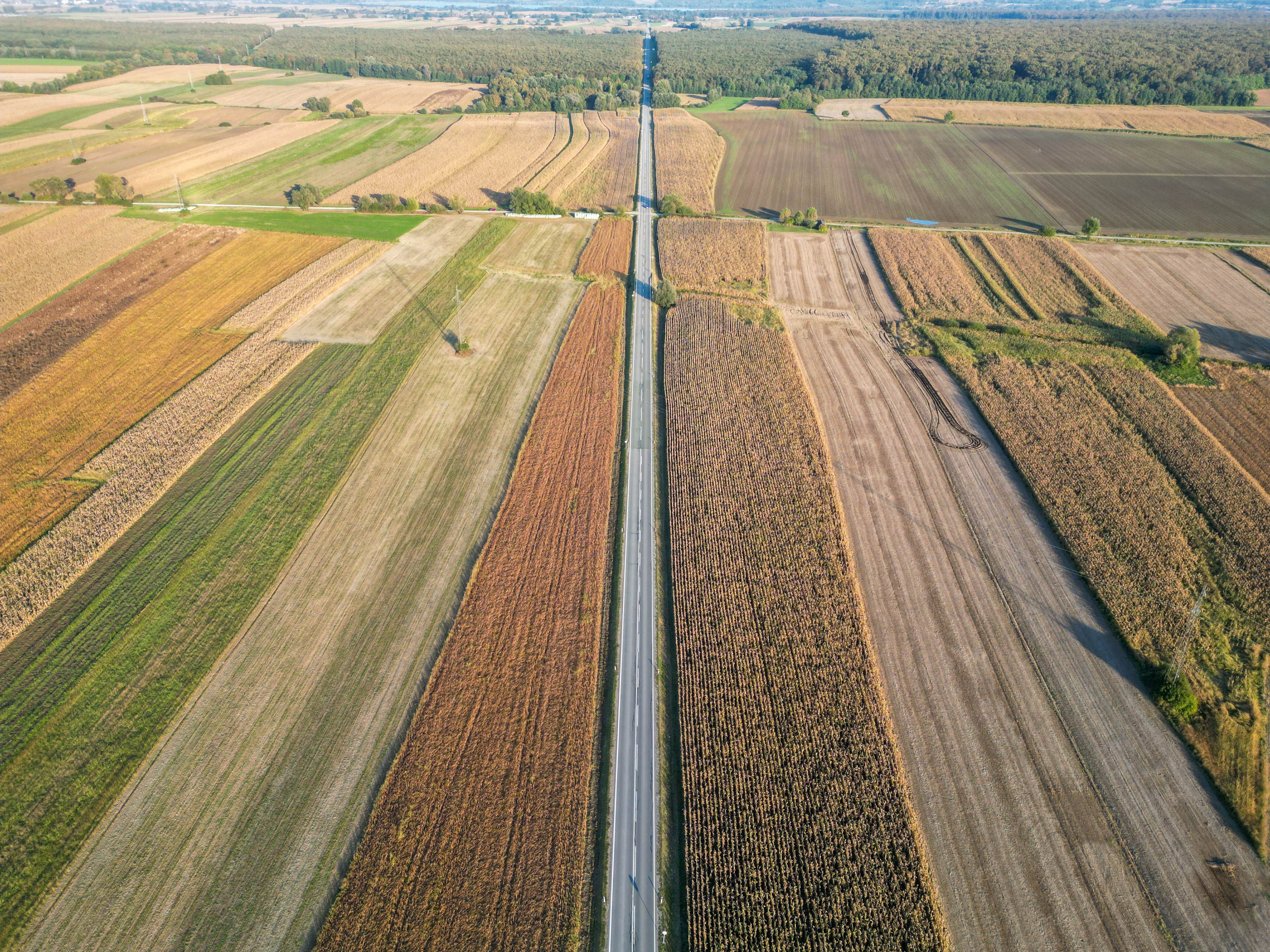 Straight Road among Fields on Plains · Free Stock Photo