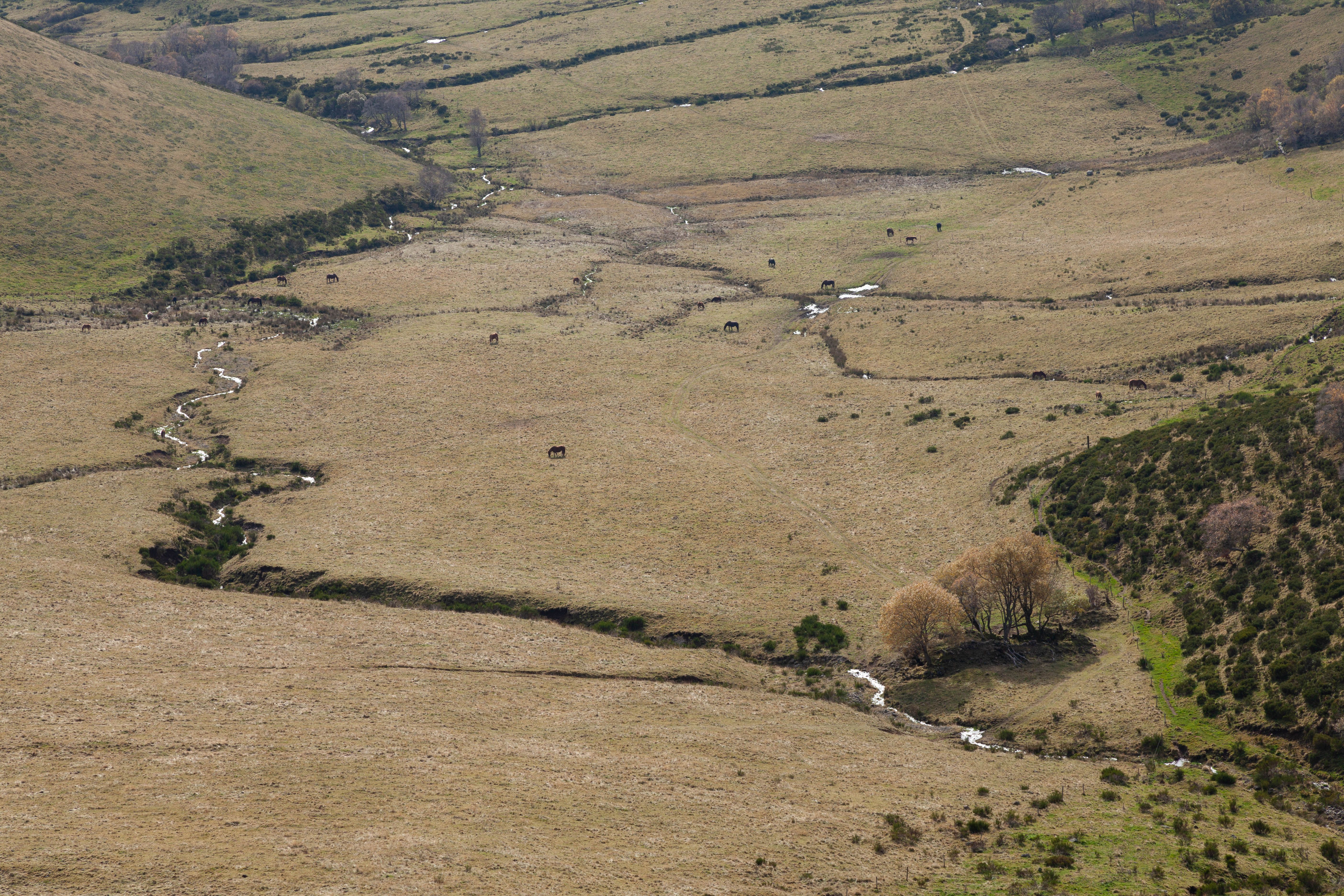 Winding Stream across Pasture · Free Stock Photo
