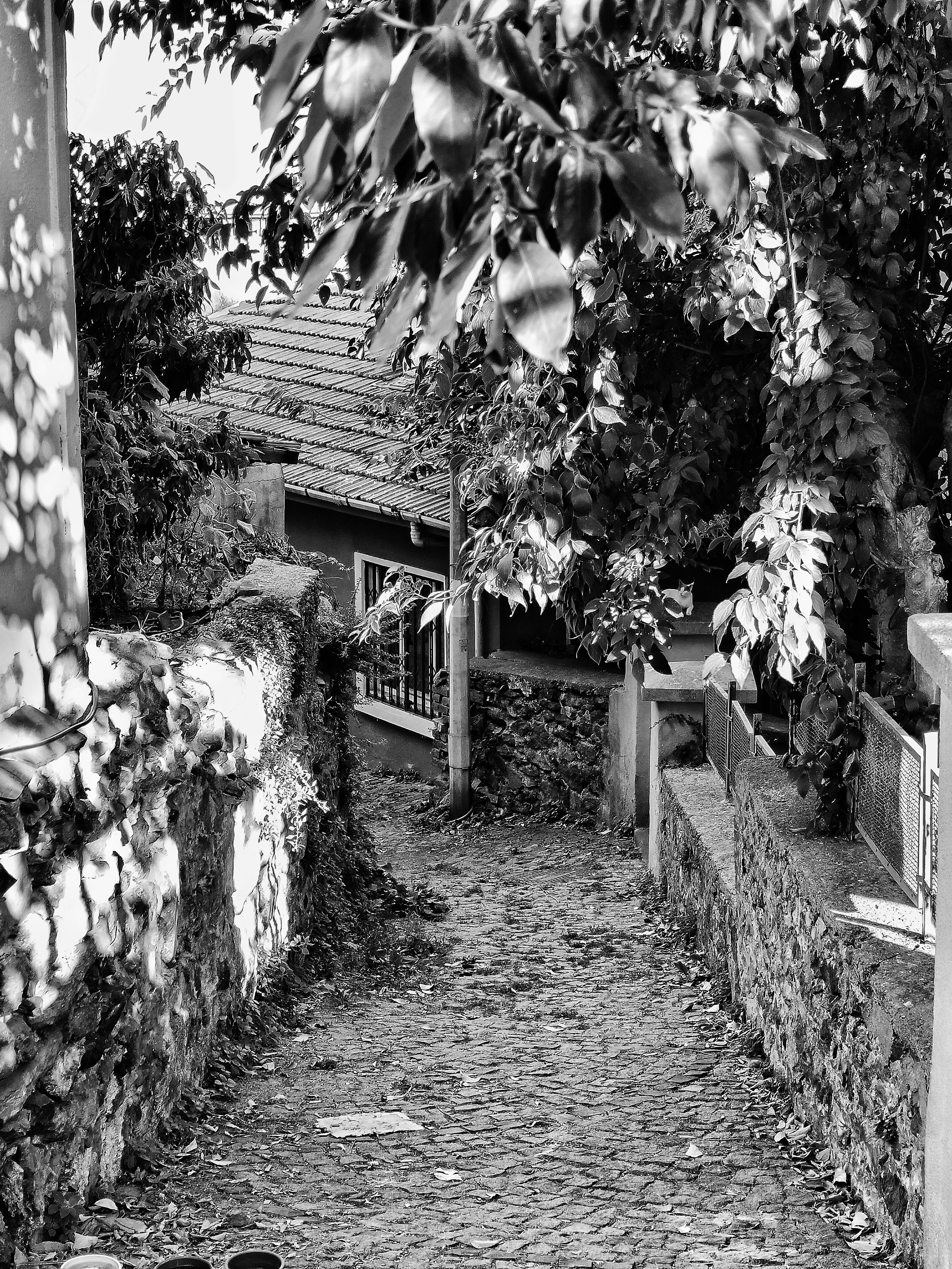 A Narrow Alley between Houses on a Hill · Free Stock Photo
