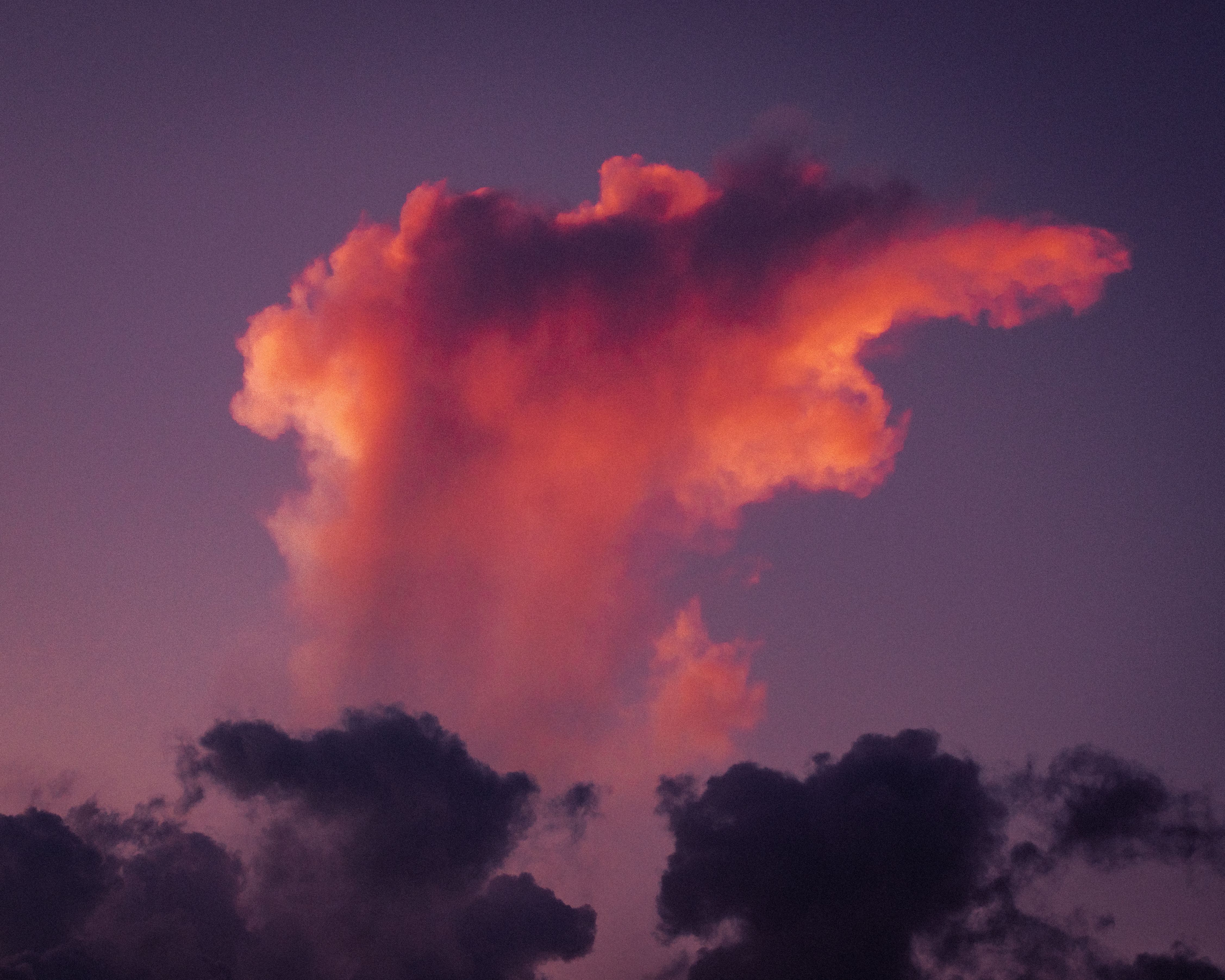 Foto de stock gratuita sobre amanecer, cielo morado, formato cuadrado ...