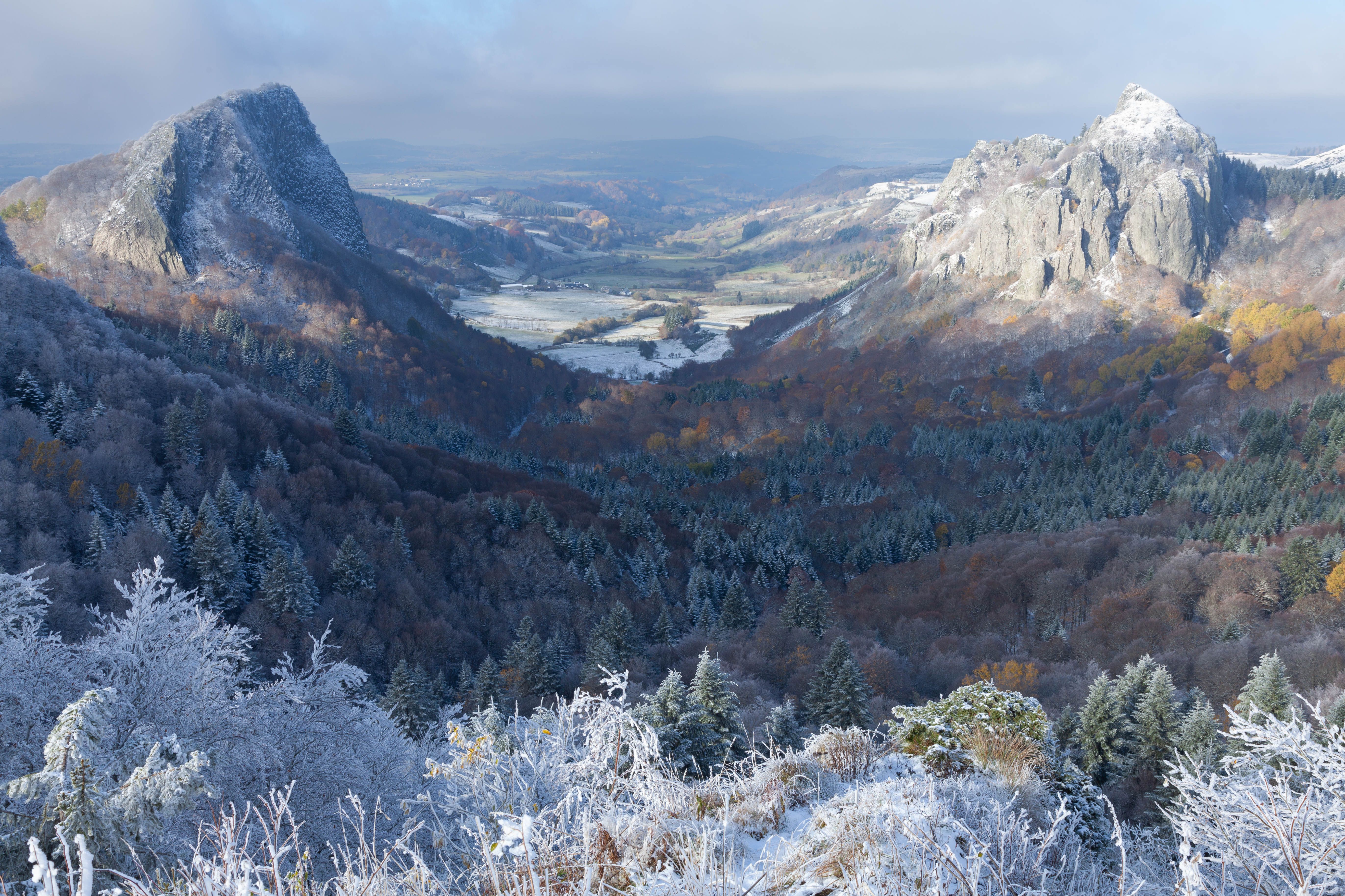 Forest in Snowed Valley among Rocky Mountains · Free Stock Photo