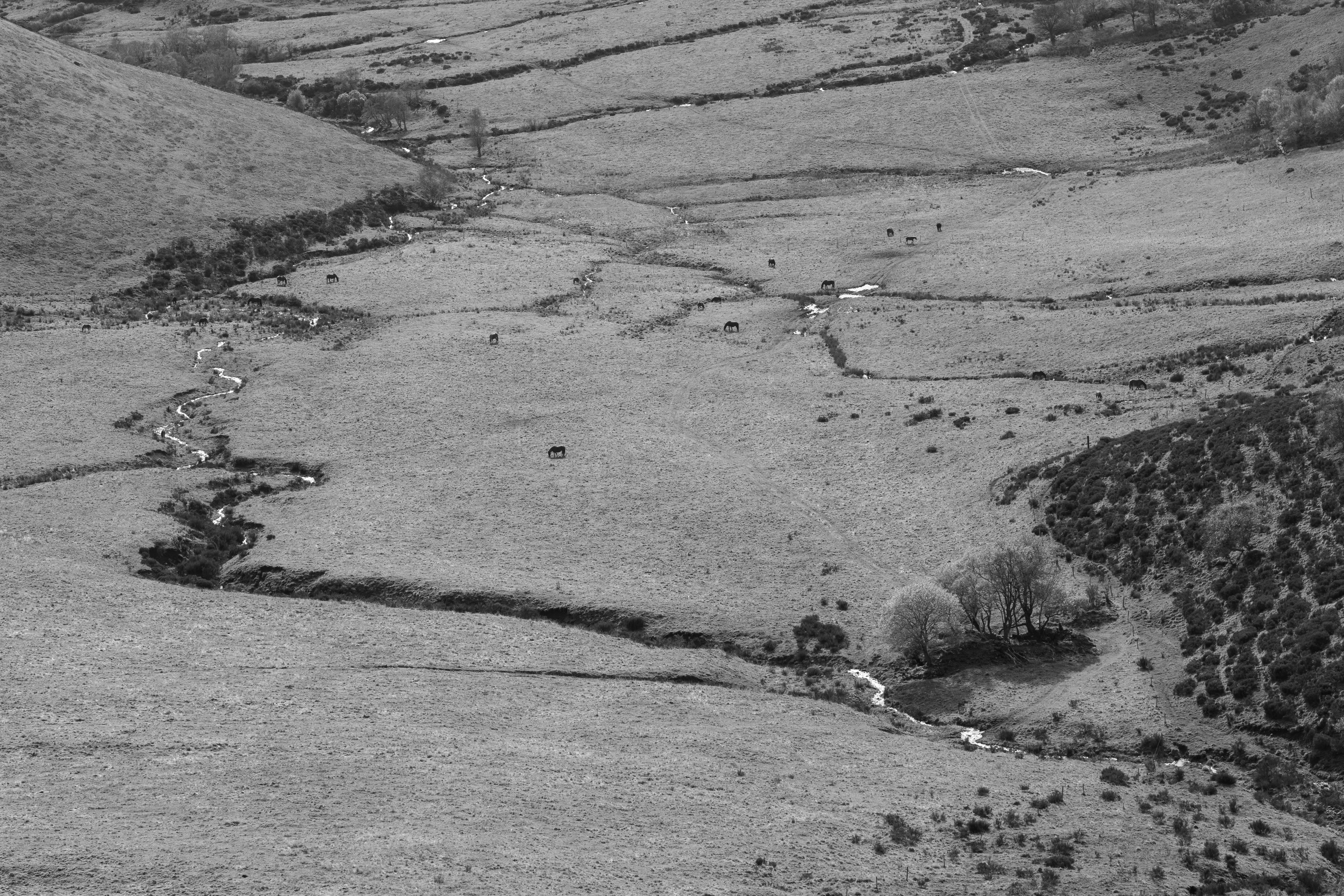 Winding Stream across Meadow · Free Stock Photo