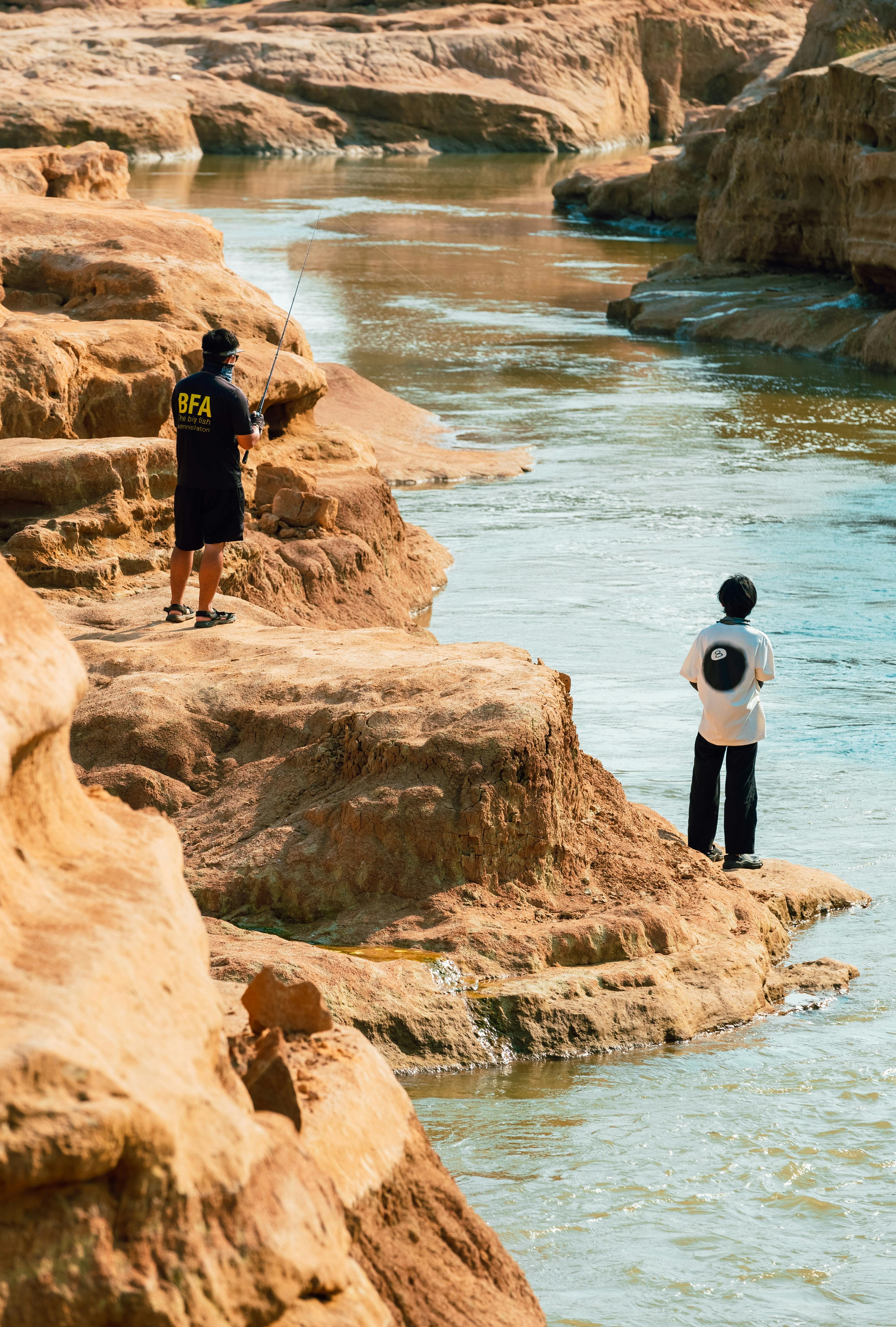 Bfa Logo Photos, Download The BEST Free Bfa Logo Stock Photos & HD Images